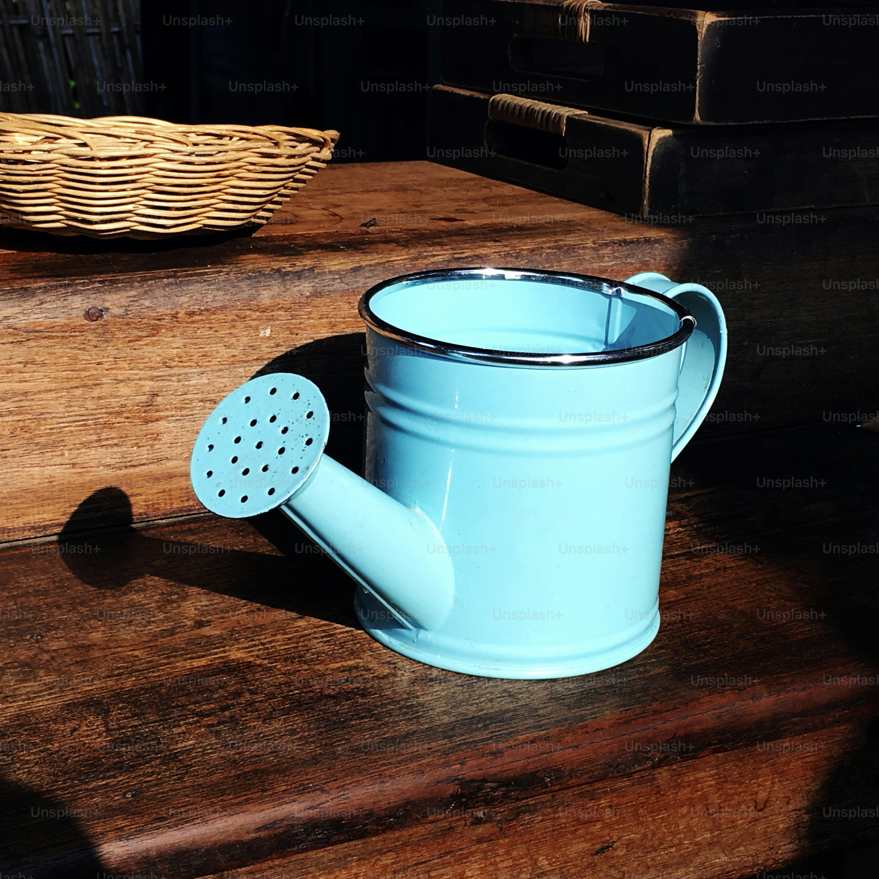 Watering Can Sapling Gardener Growth Cultivate Concept photo ...