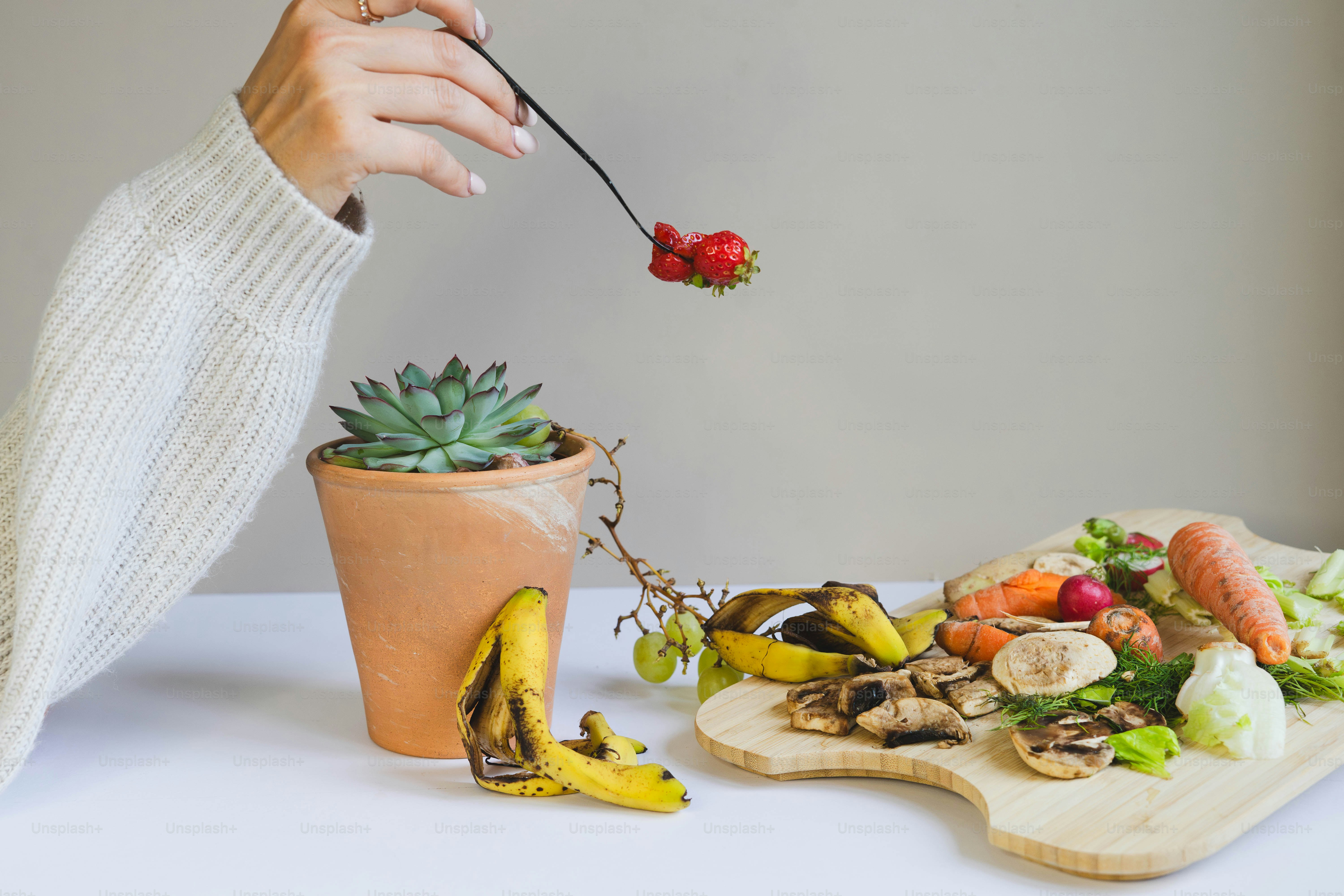 Une personne tendant la main vers une fleur devant une assiette de ...