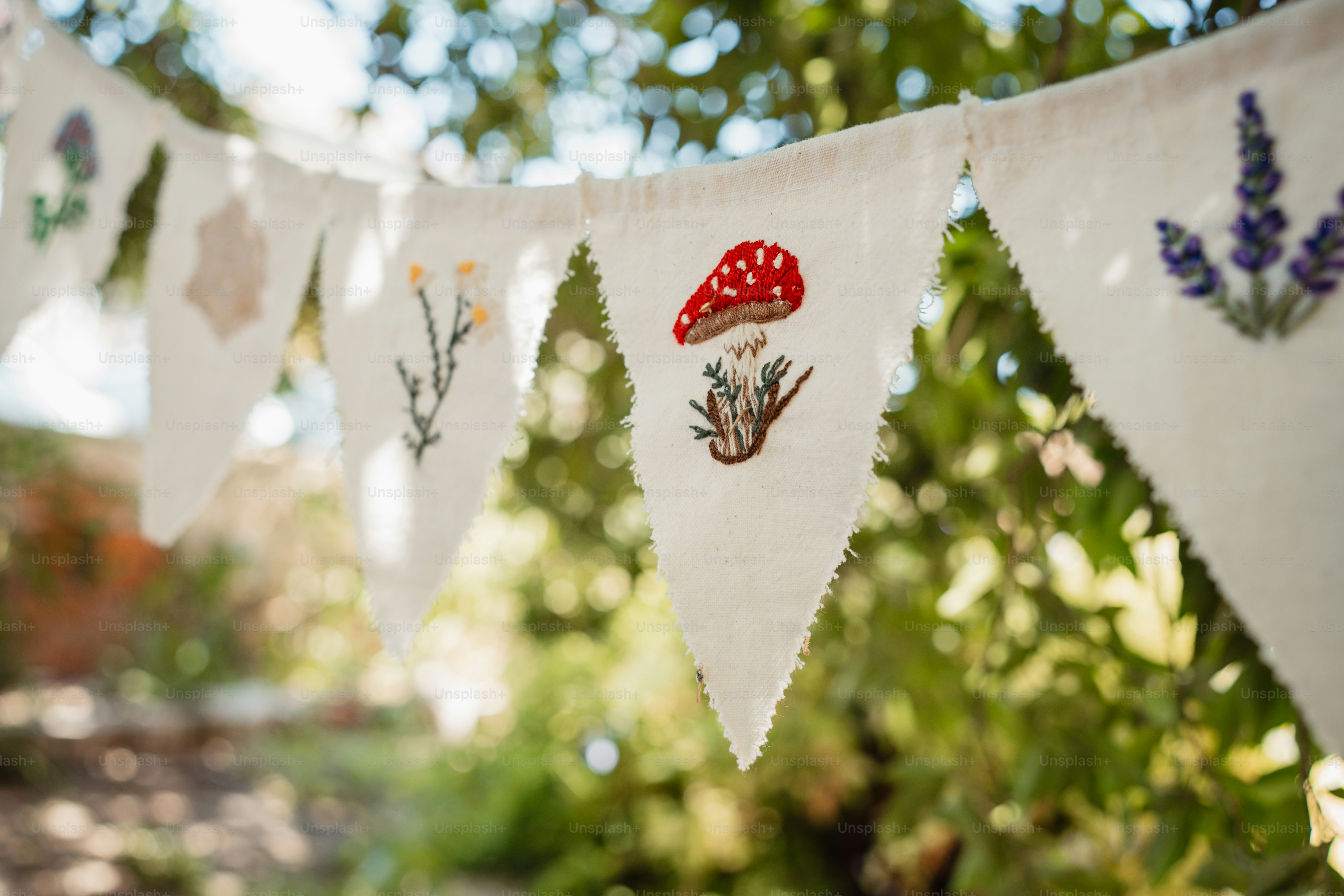 Bunting Pictures | Download Free Images on Unsplash