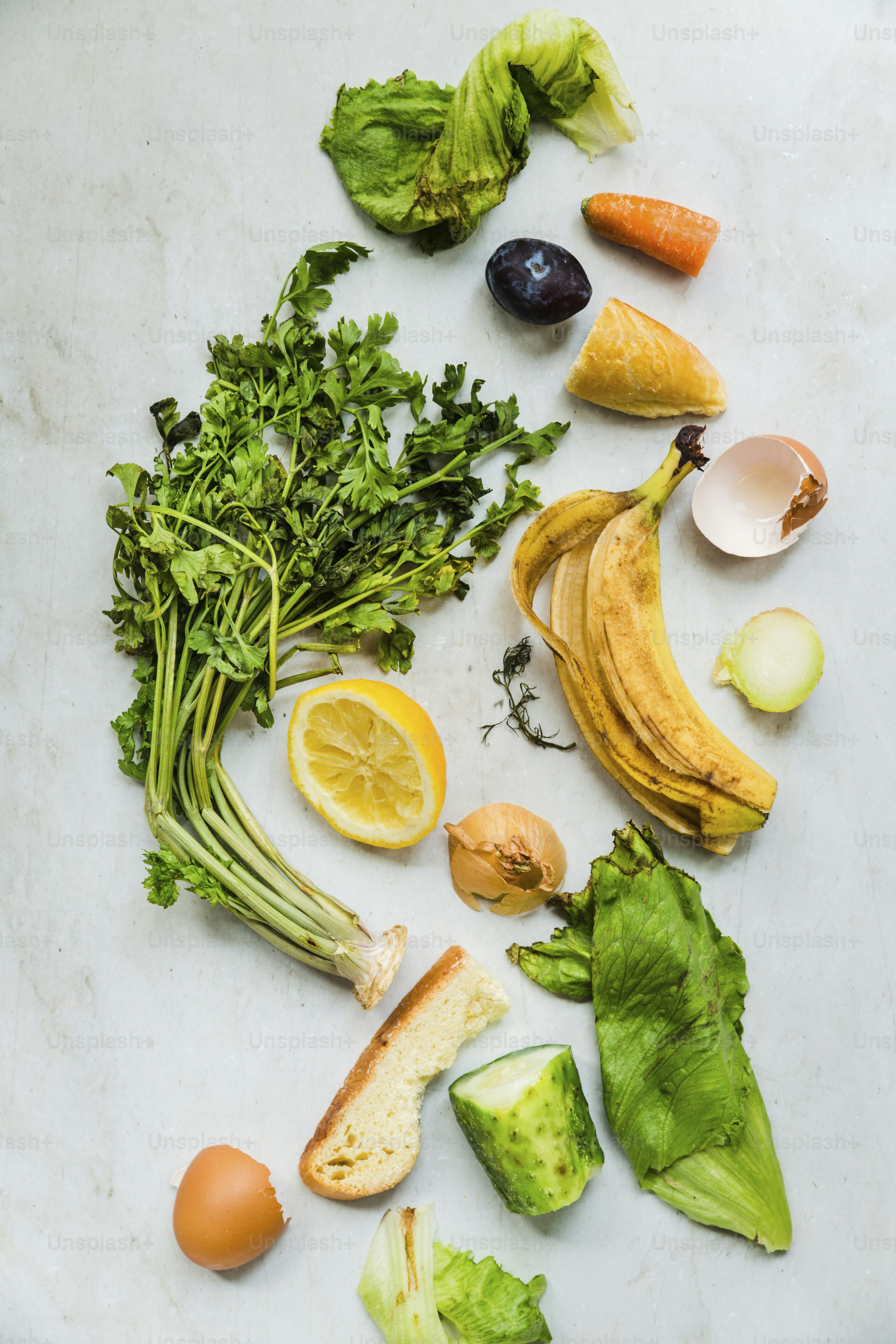 A trash can filled with fruits and vegetables photo – Food waste Image ...