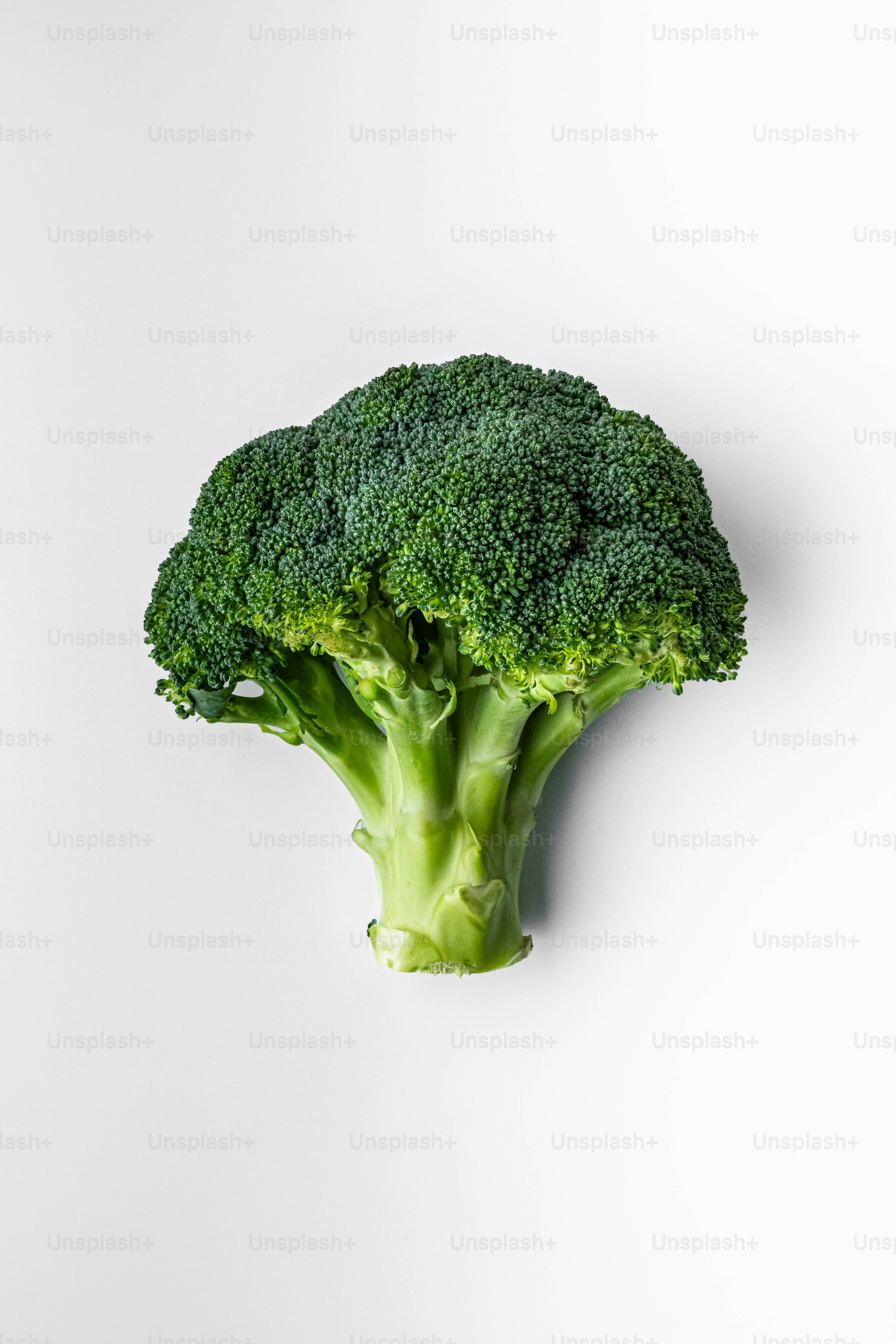 500+ Broccoli Pictures [HD] | Download Free Images on Unsplash