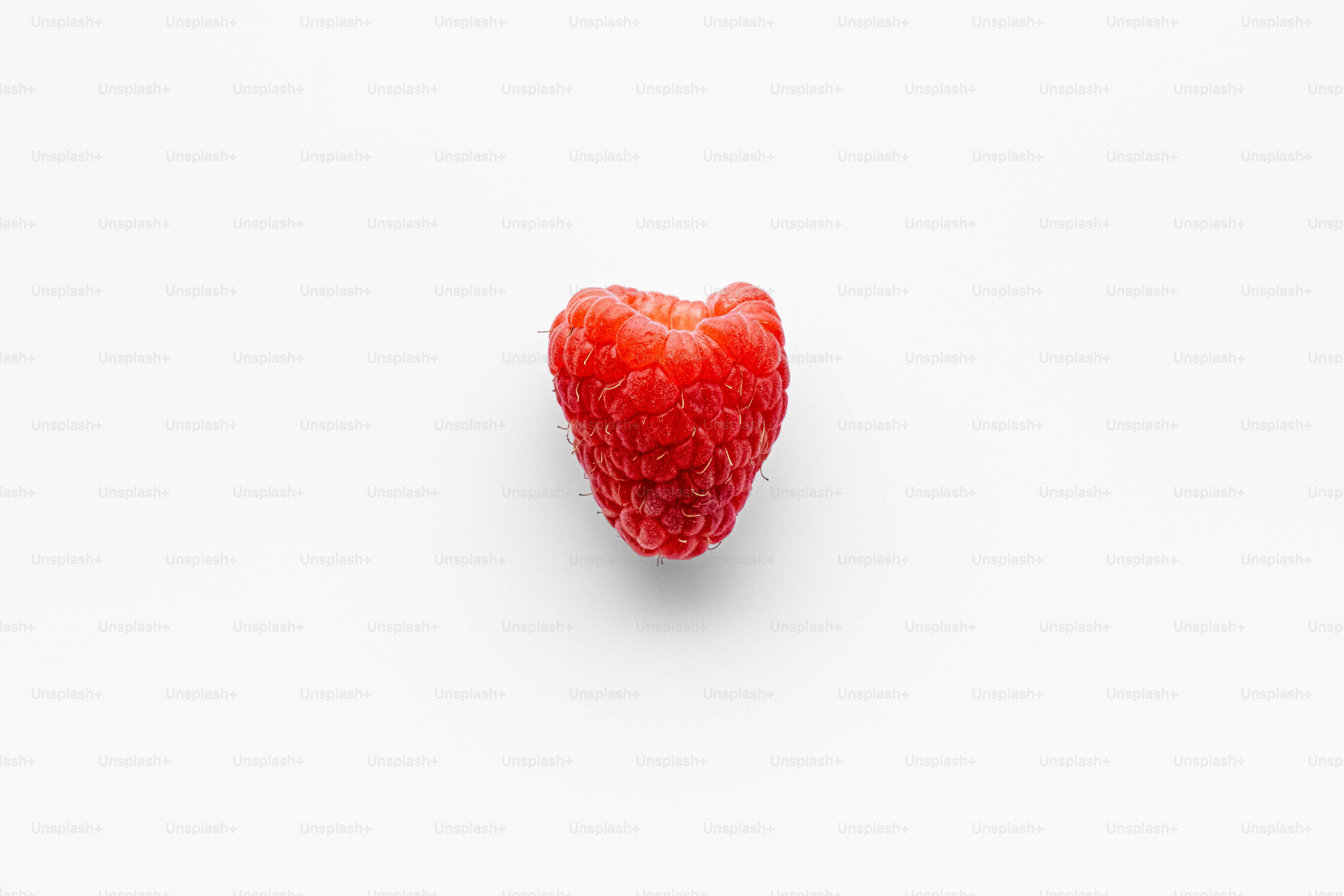 A single raspberry on a white background photo – Raspberries Image on ...