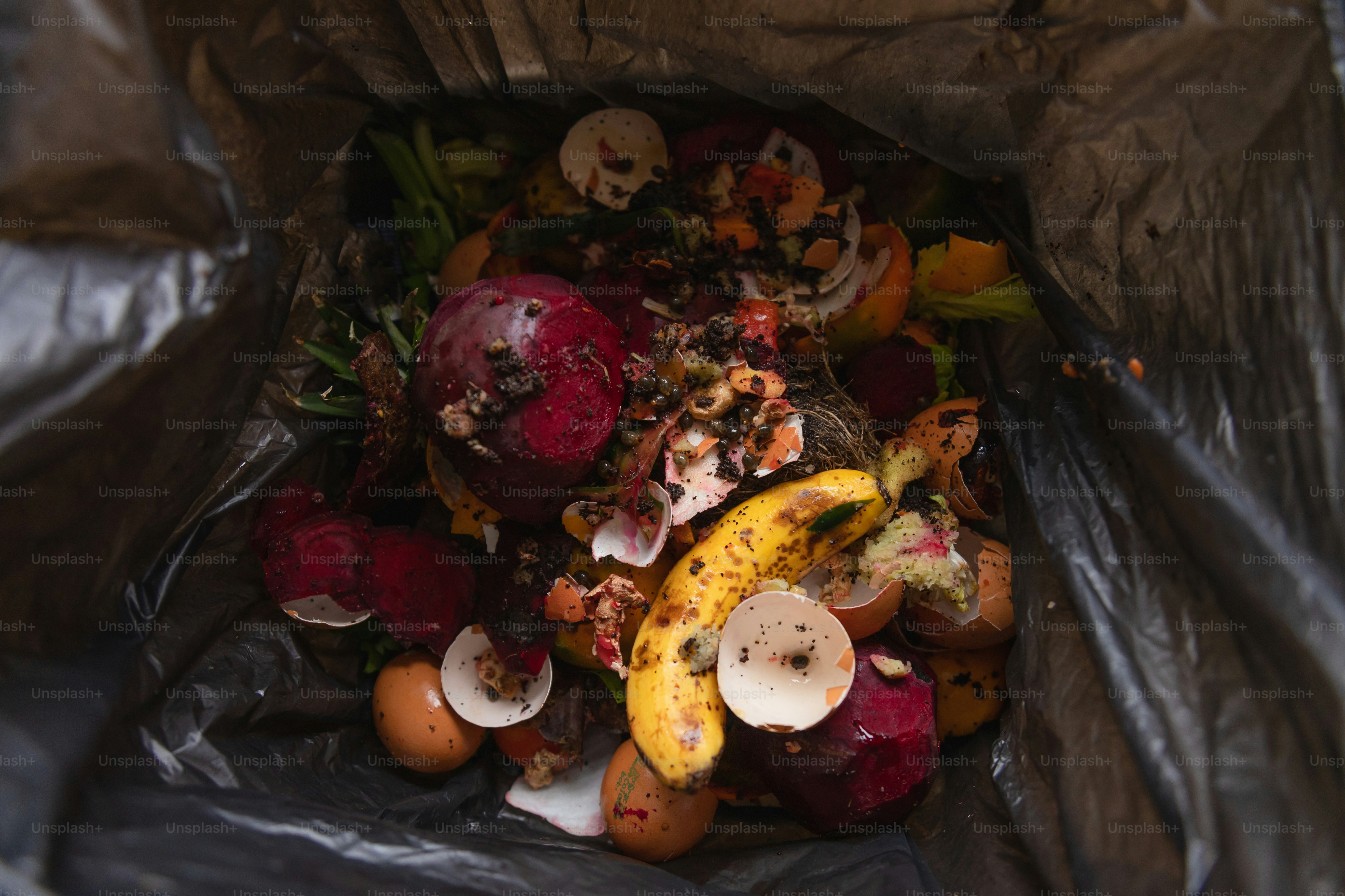 A trash bag full of rotten fruits and vegetables photo – Waste Image on ...