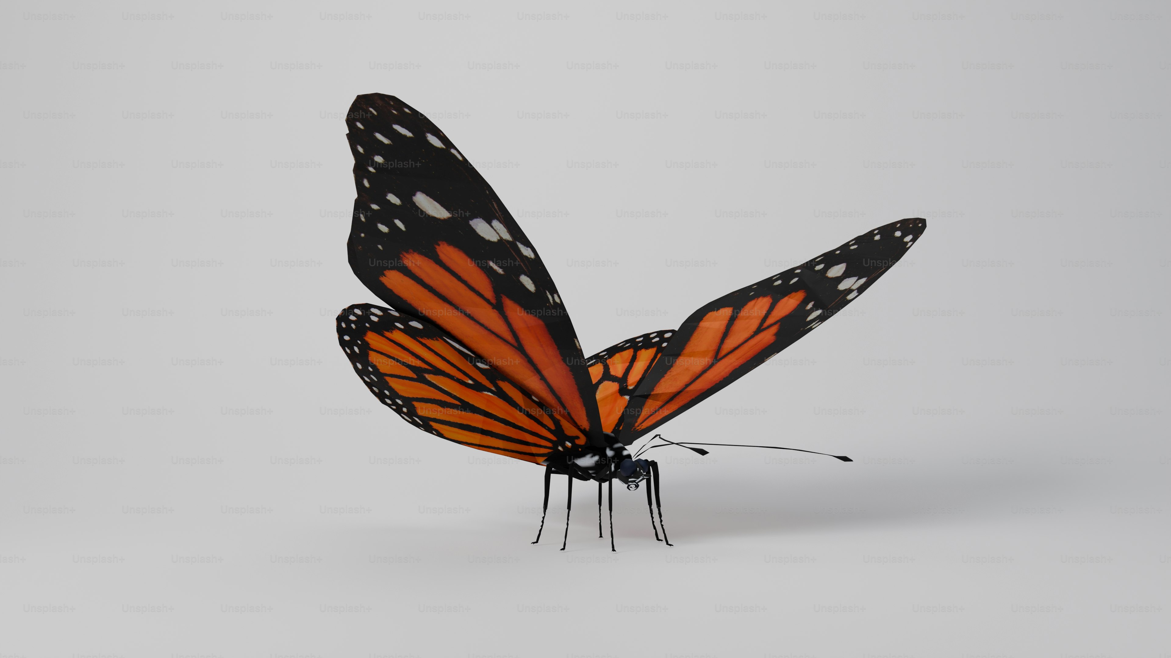 A single orange butterfly flying through the air photo – Animal Image ...