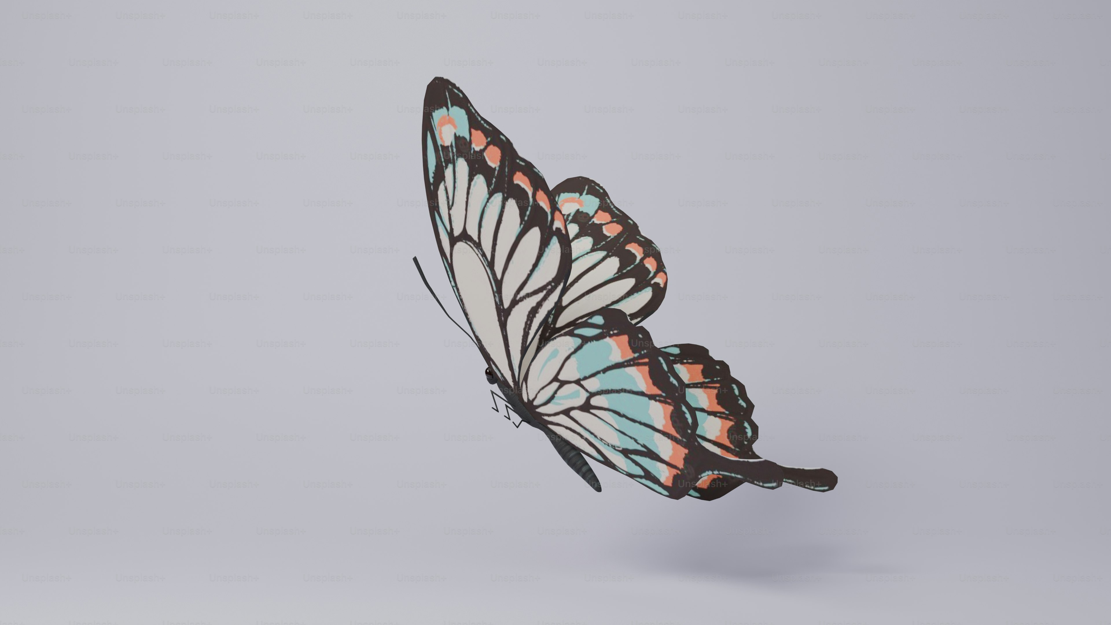 A single orange butterfly flying through the air photo – Animal Image ...