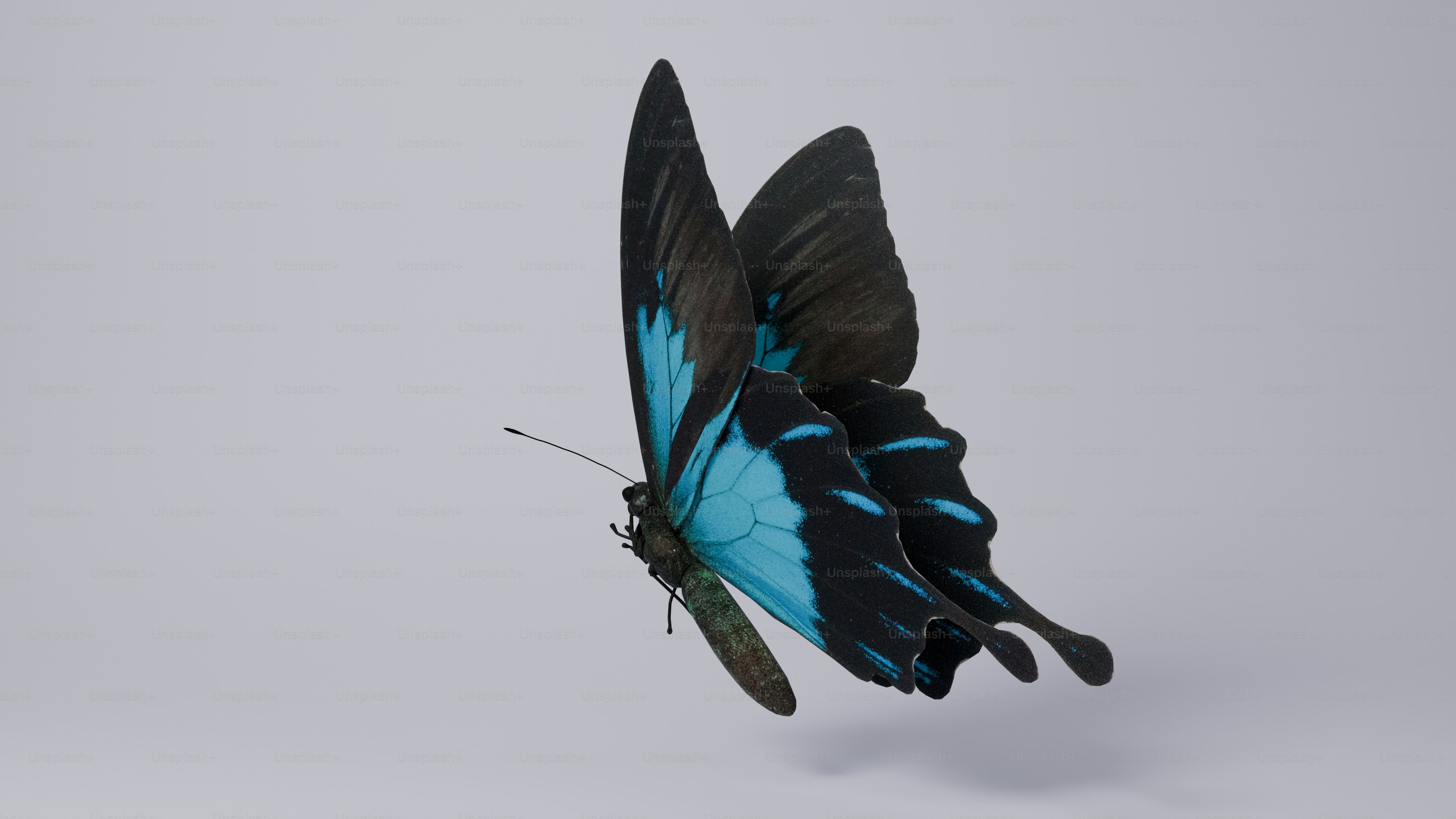 A butterfly flying through the air with its wings spread photo – 3d ...