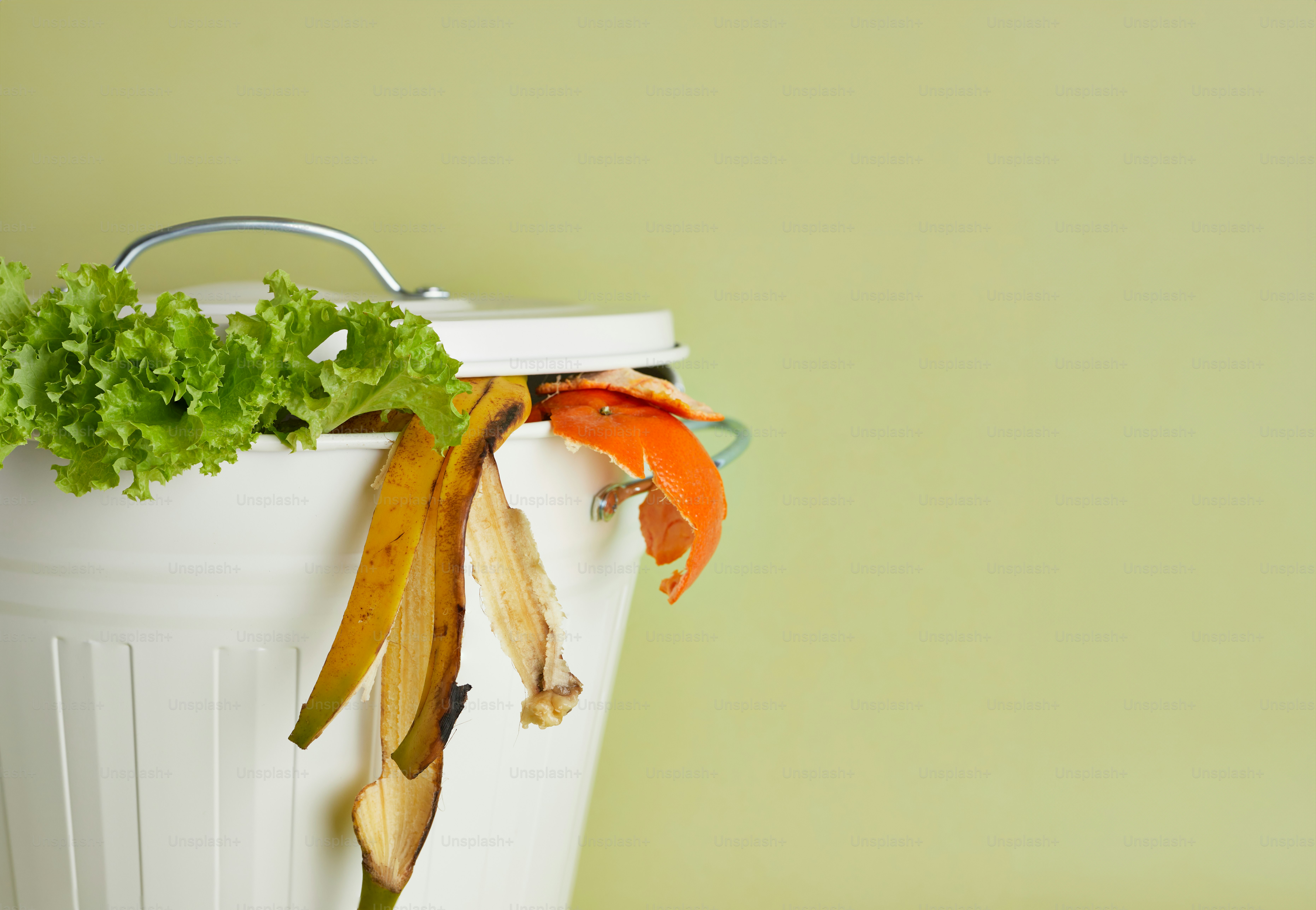 A trash can with food in it next to a trash can photo – Waste Image on ...
