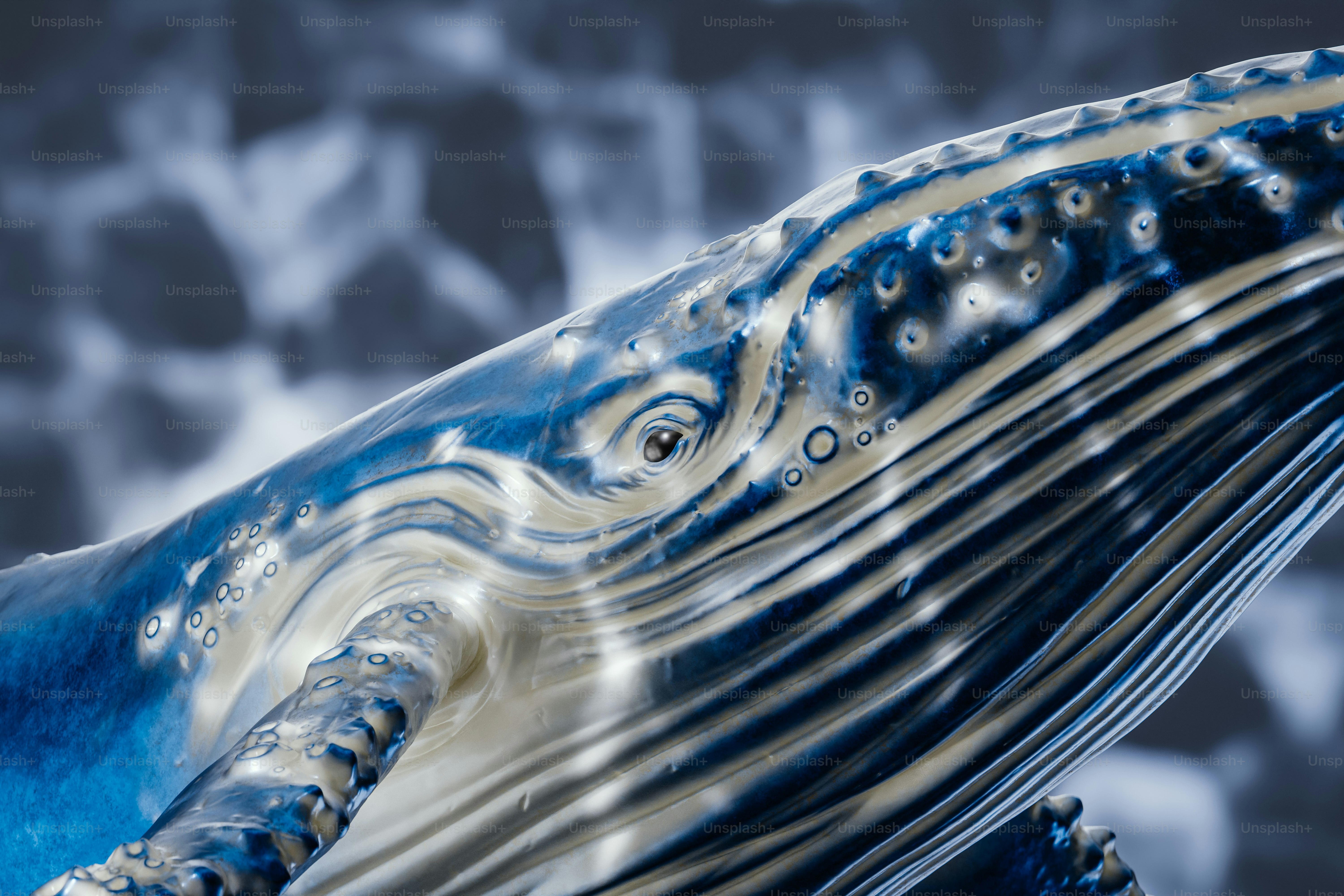 A humpback whale swimming in a pool of water photo – Wallpaper Image on ...