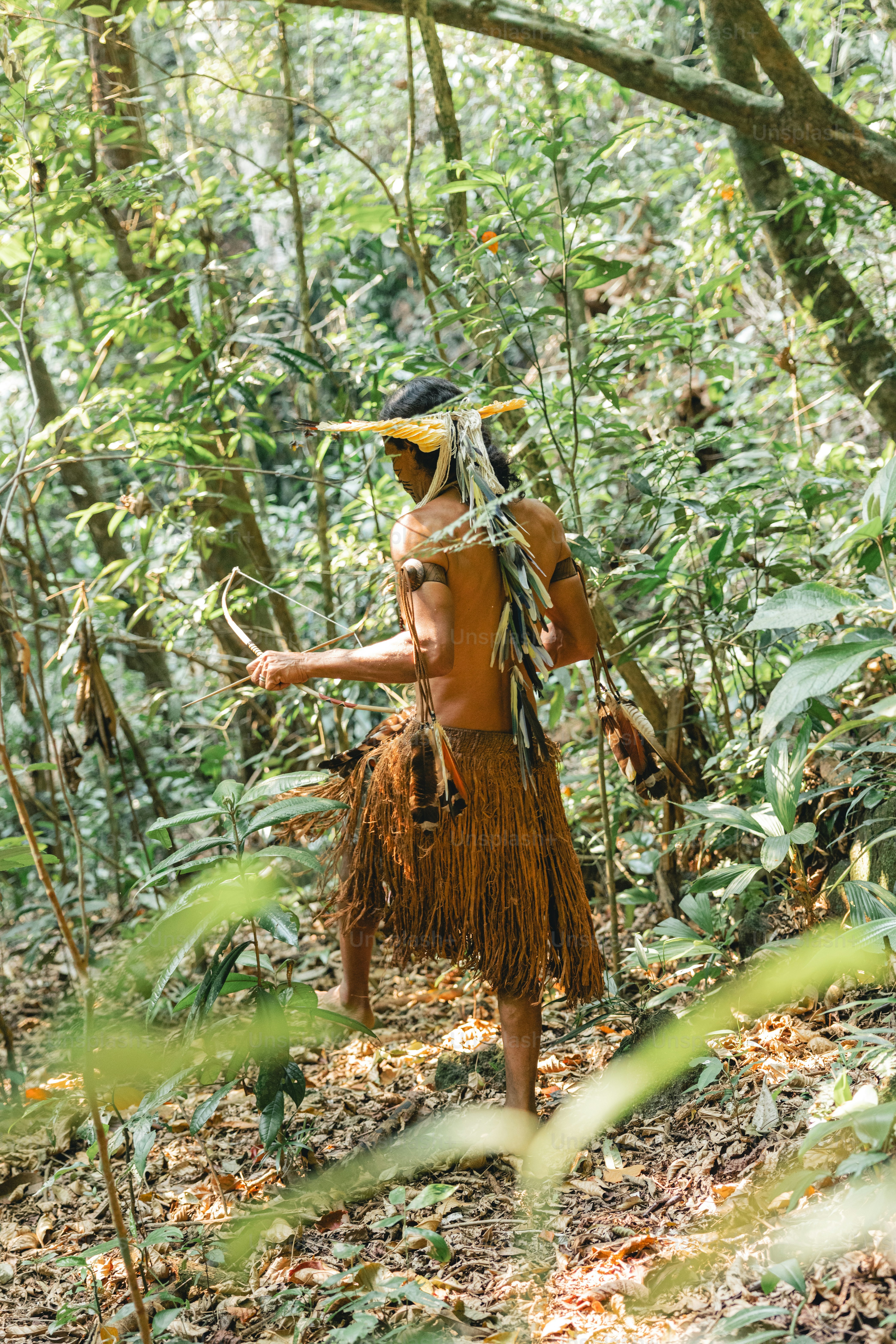A native american man standing in the middle of a forest photo – Indian ...