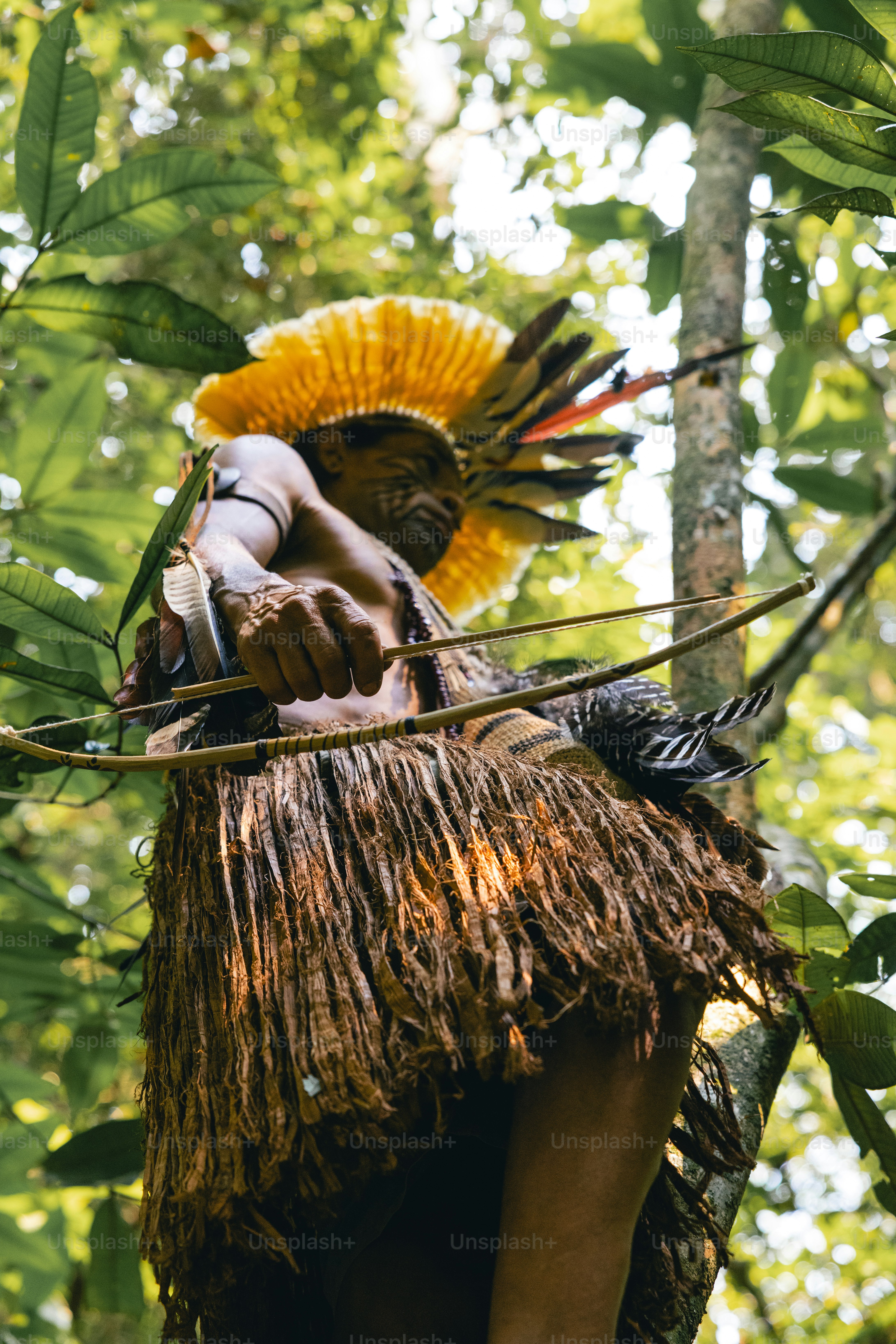A man with a yellow headdress standing in a forest photo – Native Image ...