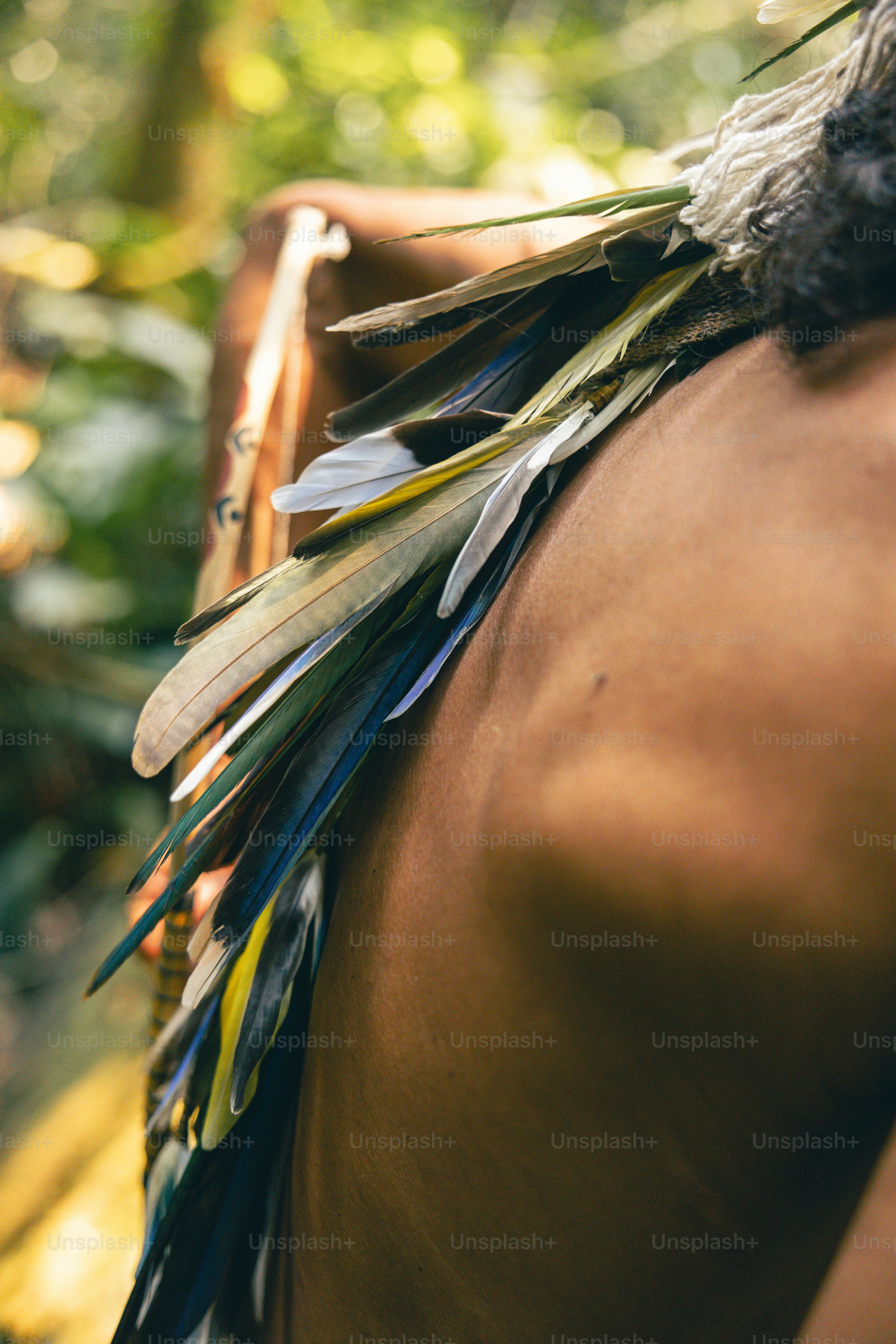 10 Key Themes in Colonial American Literature ...