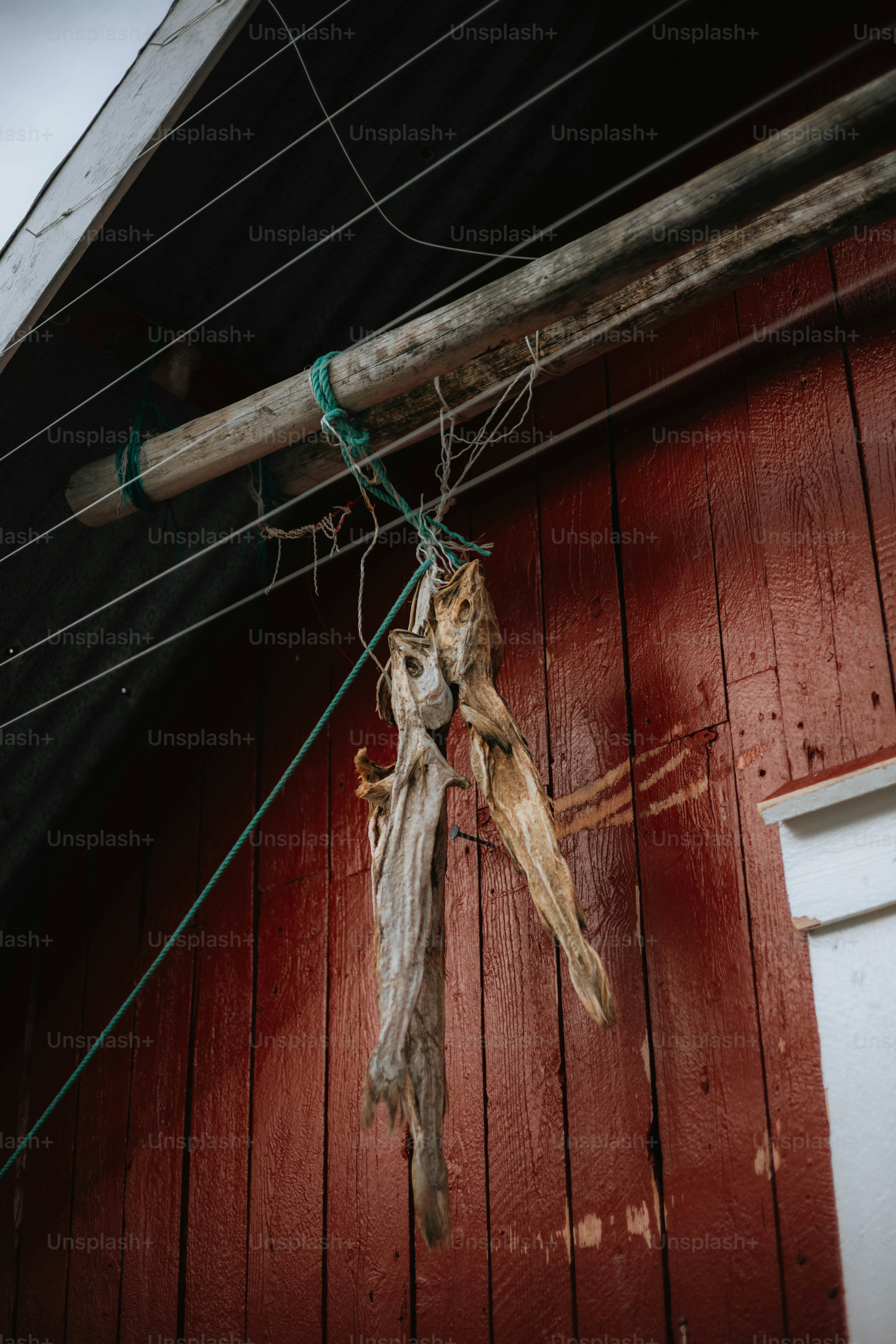 Un edificio de madera con una cuerda colgando de su lado foto – Imagen ...