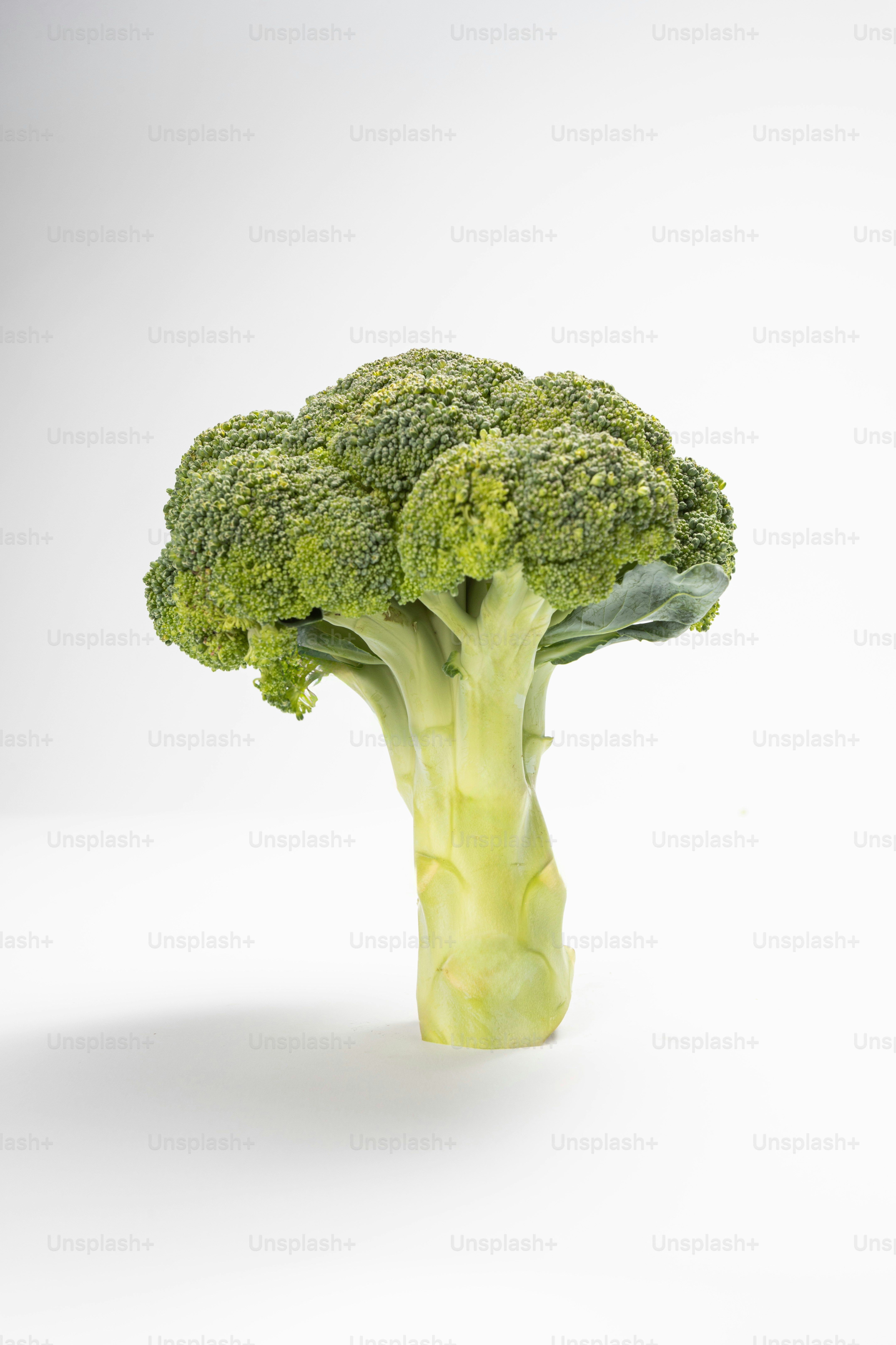 A watermelon is shown on a white background photo – Still life Image on ...