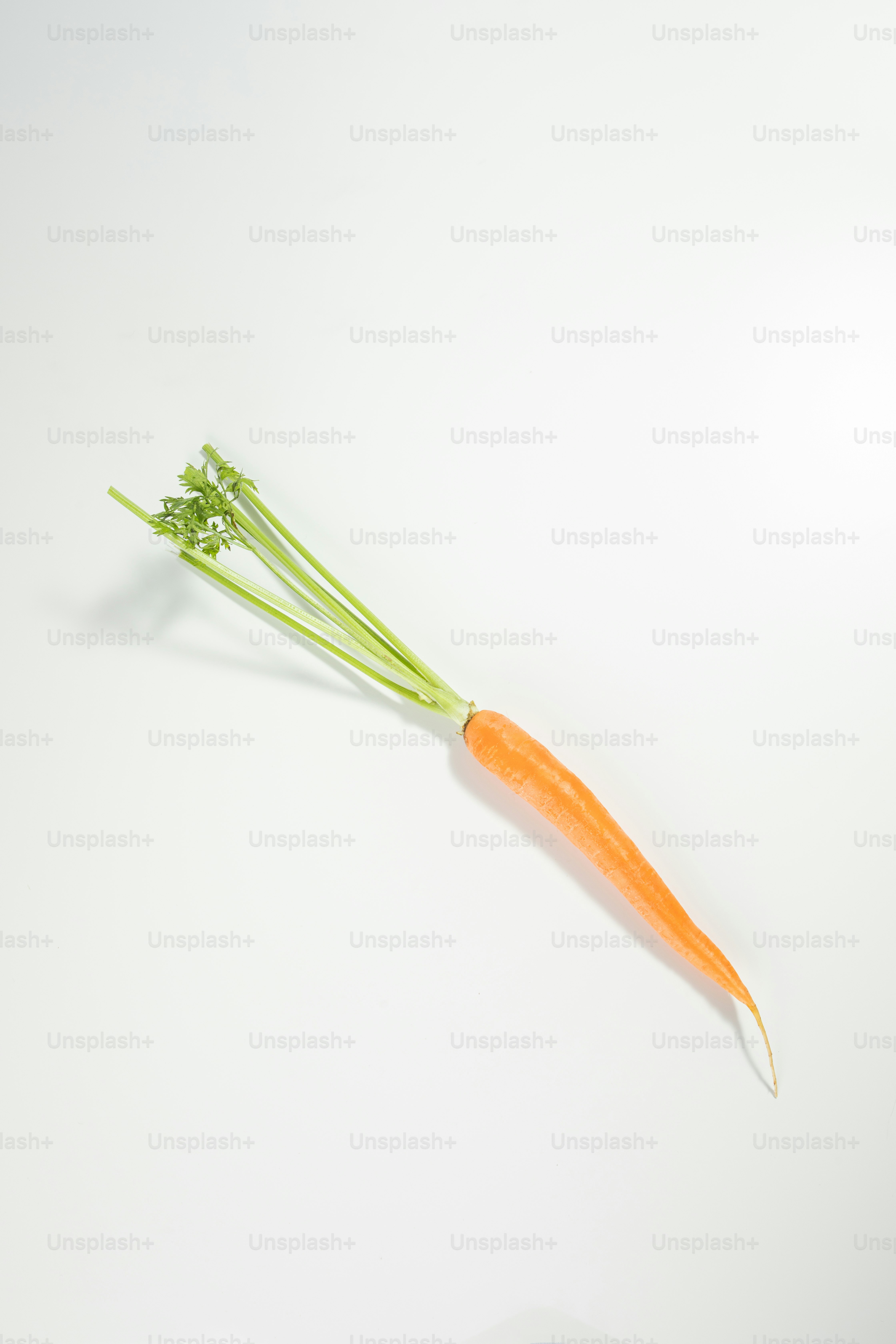 A single carrot sitting on top of a white table photo – Vegetable Image ...