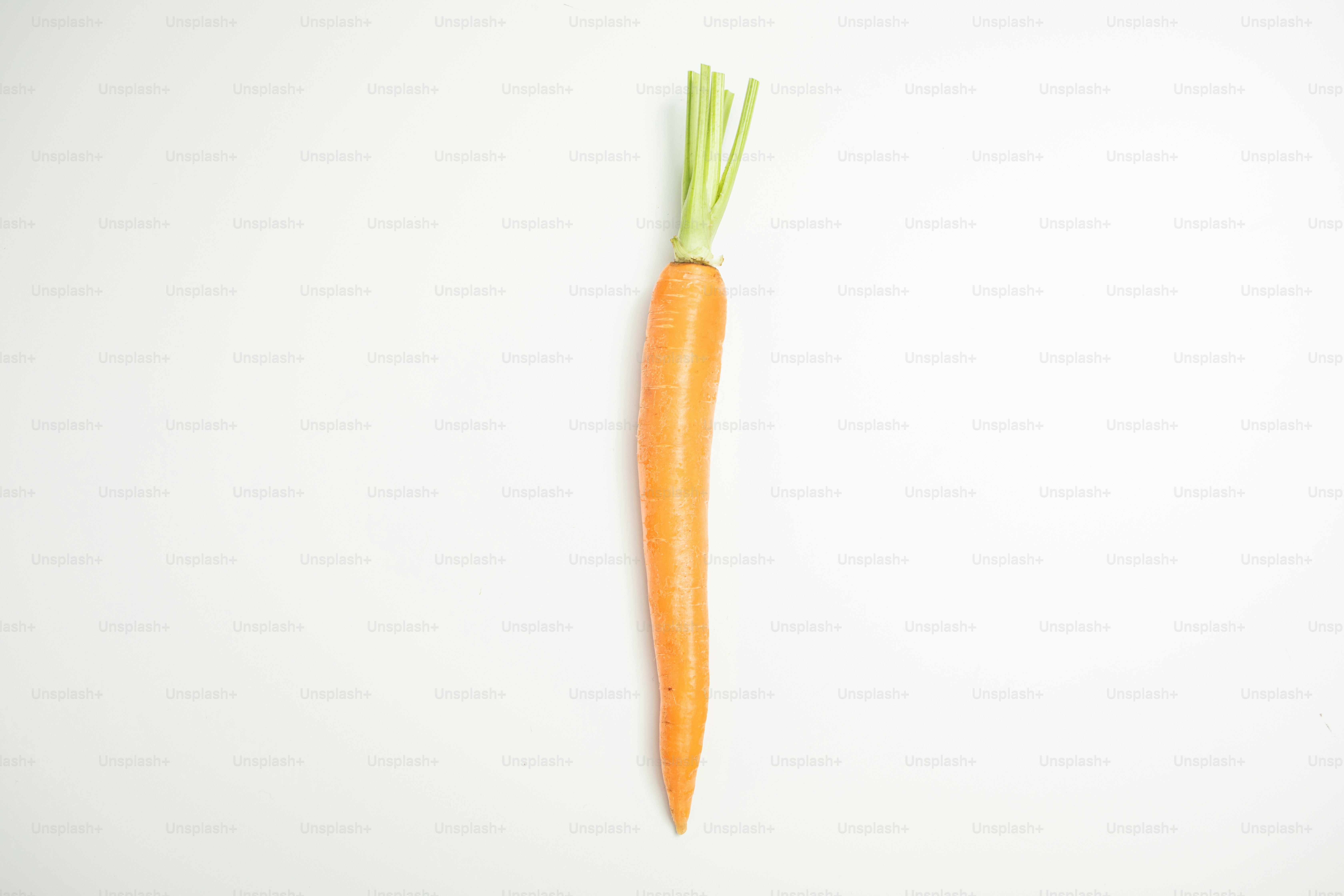 A single carrot on a white background photo – Food basics Image on Unsplash