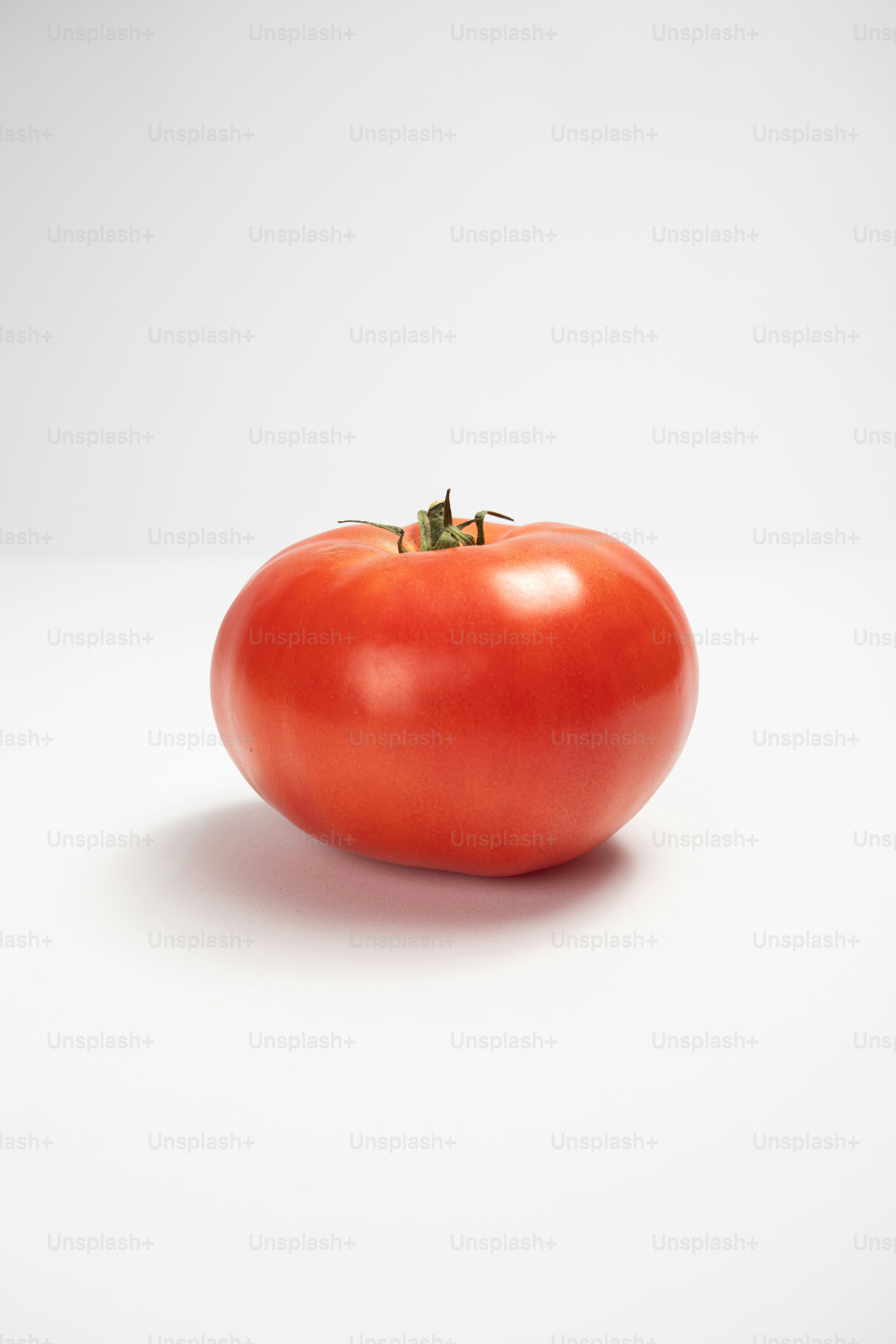 A single tomato on a white background photo – Fresh fruit Image on Unsplash
