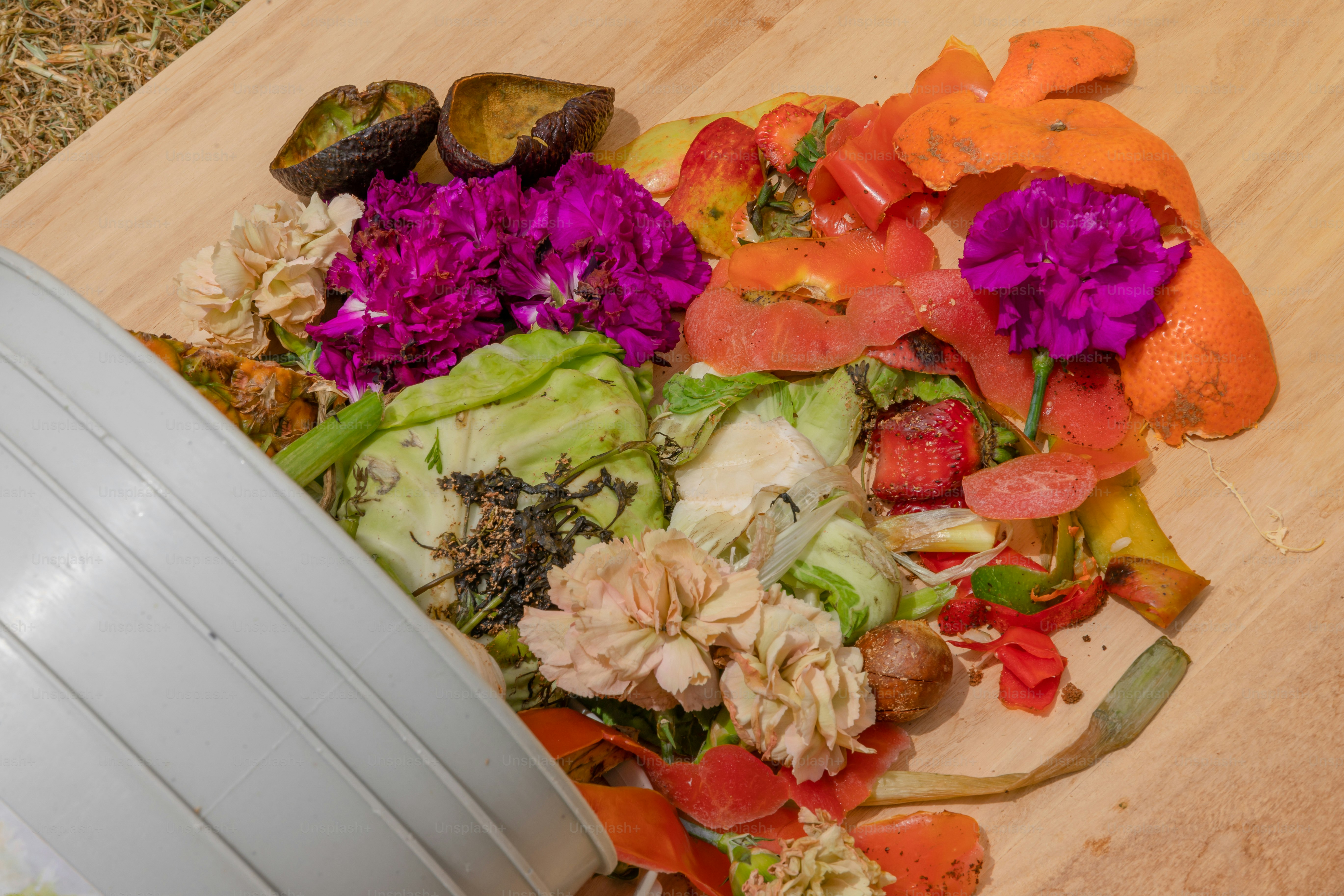 Food Waste | 100+ best free food waste, garbage, kitchen waste, and ...