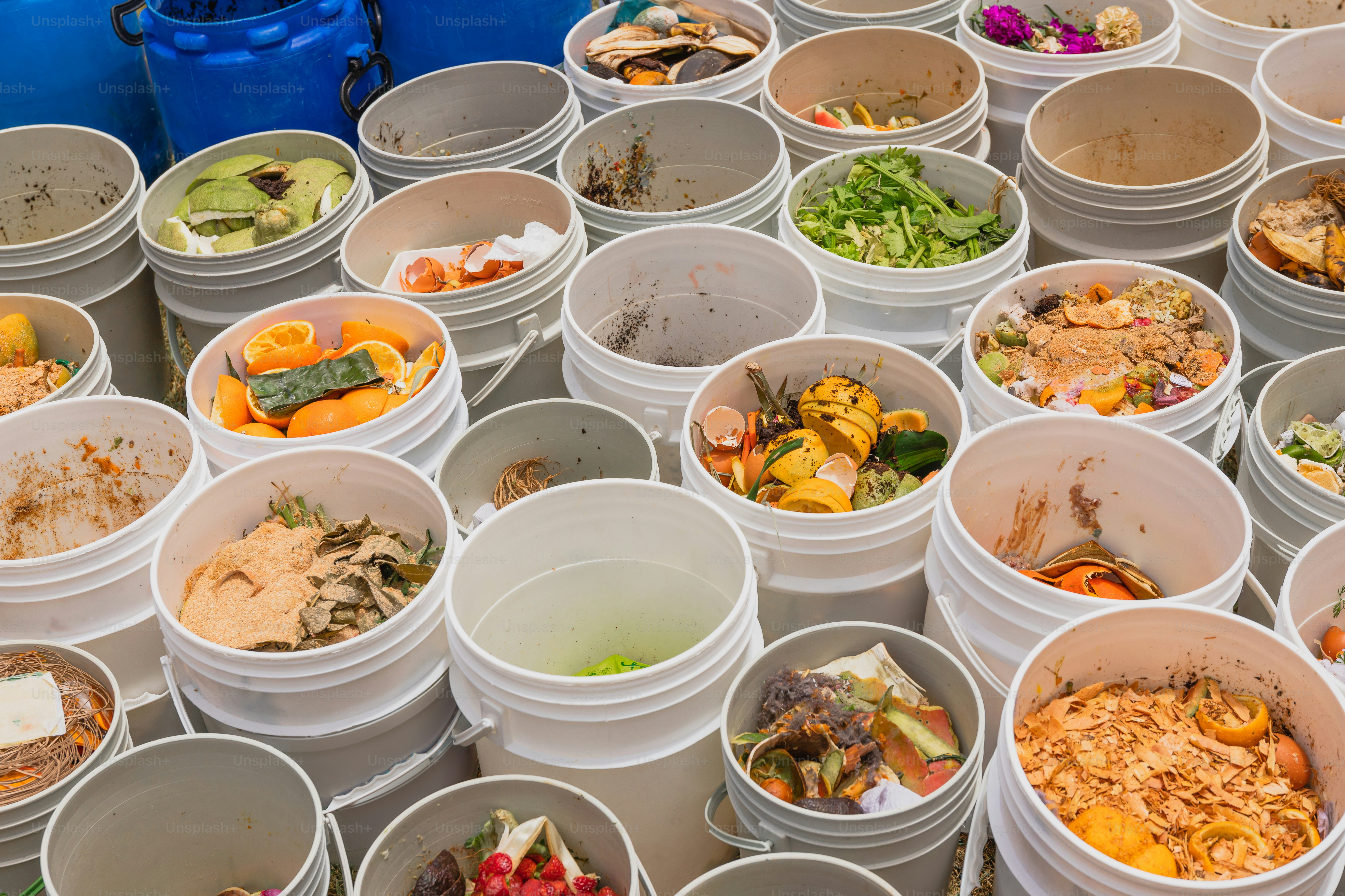 A bunch of buckets filled with lots of food photo – Composting Image on ...