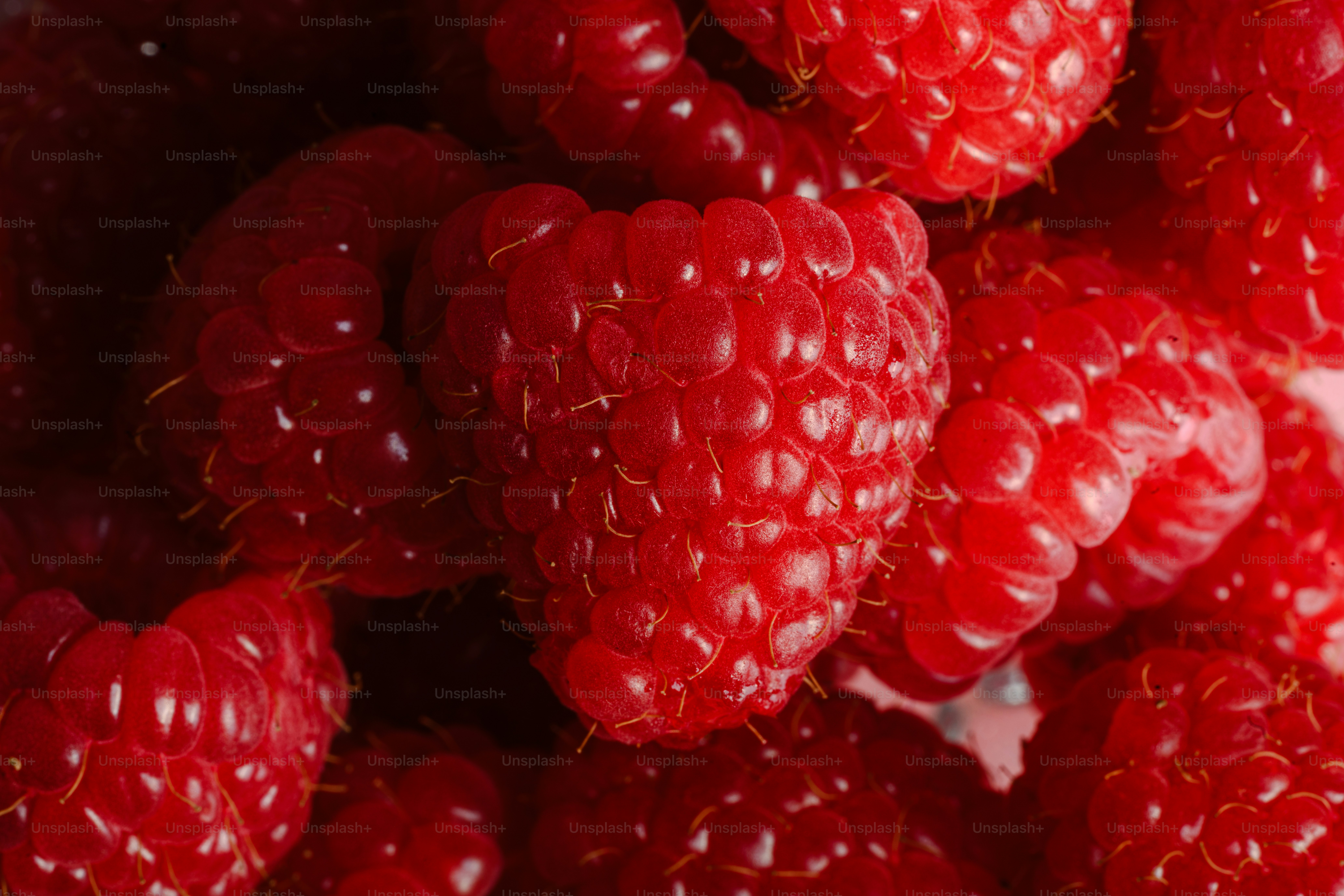 A close up of a bunch of raspberries photo – Food Image on Unsplash