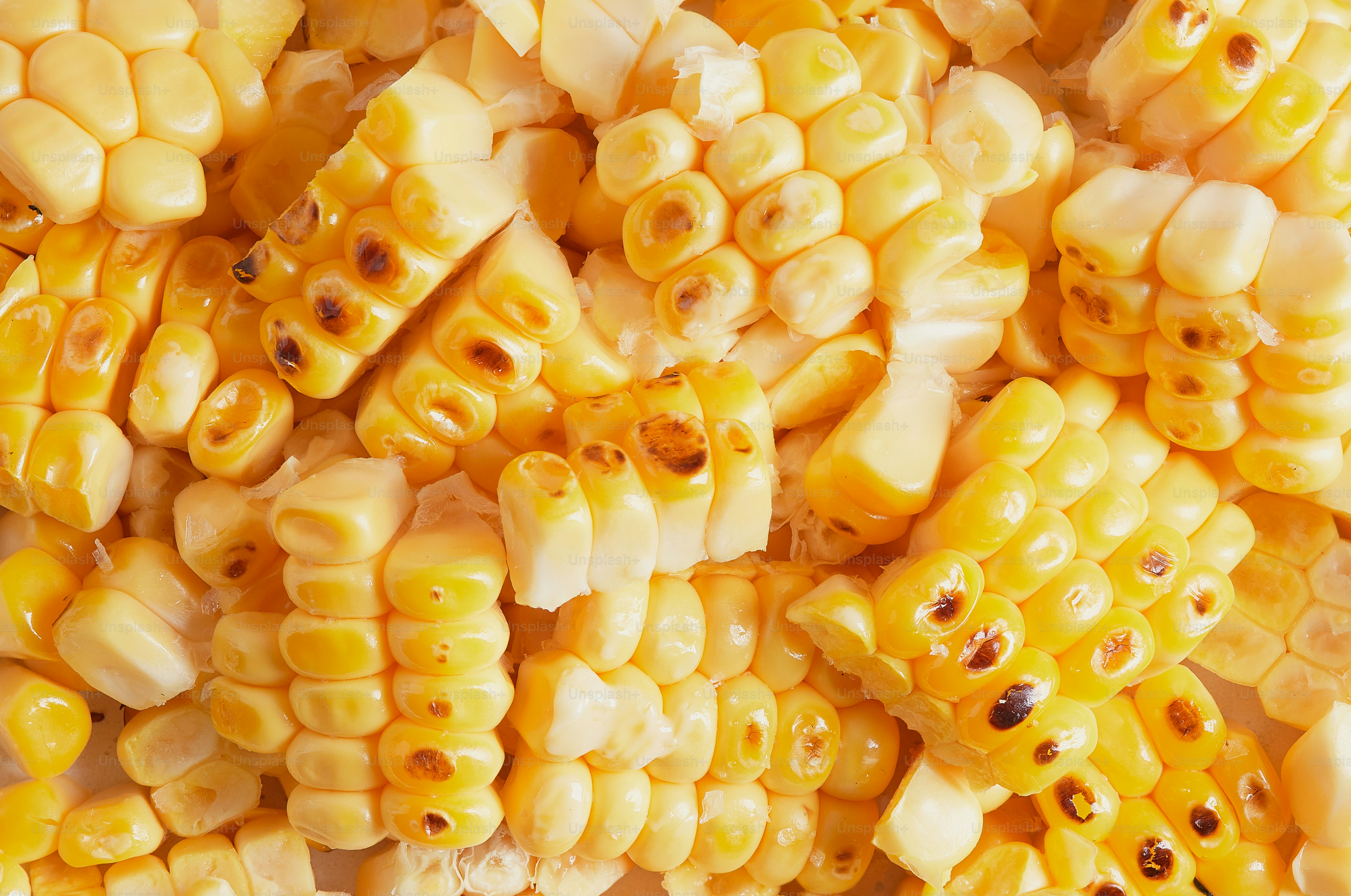 A pile of corn on the cob on a table photo – Vegetable Image on Unsplash