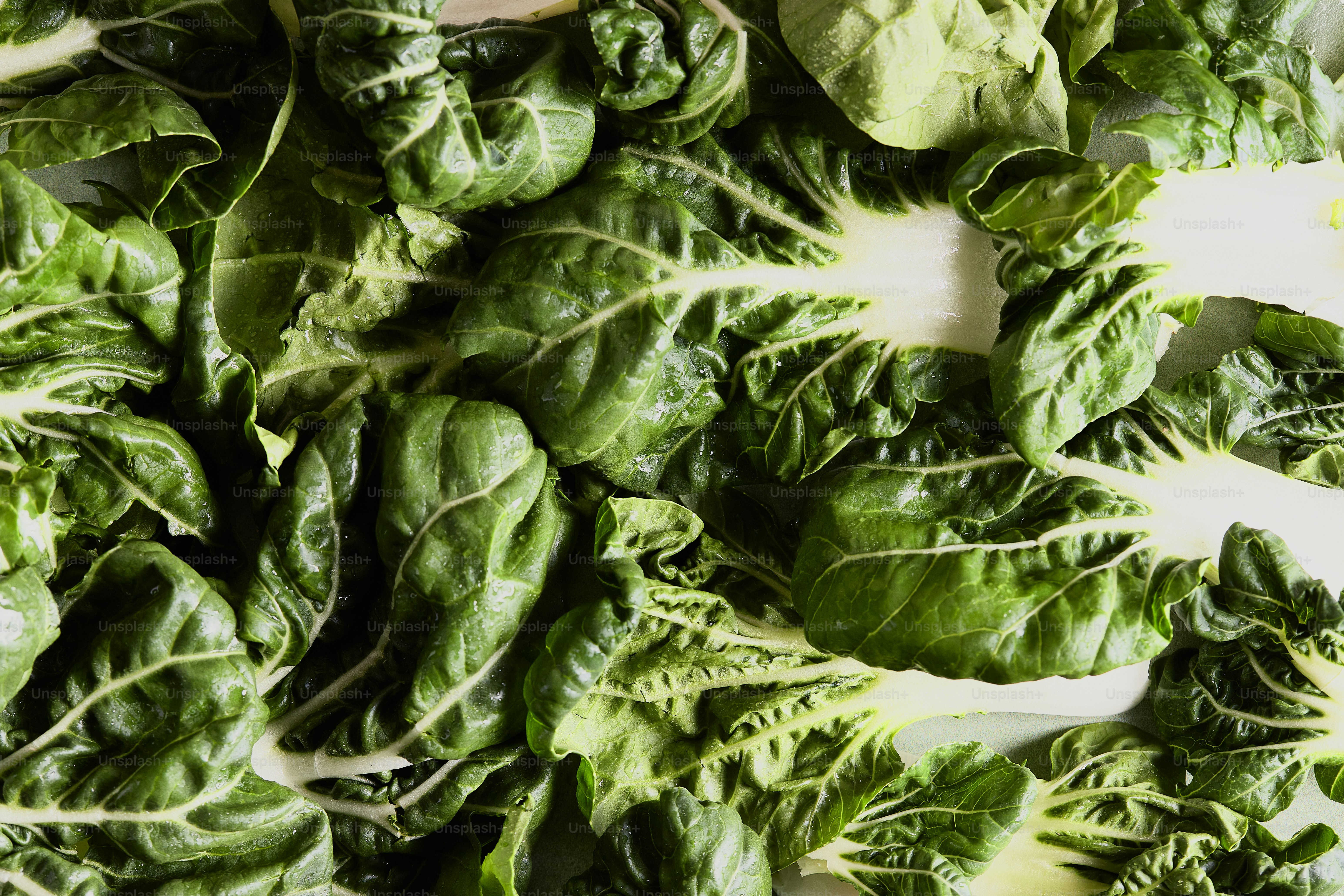 A pile of green leafy vegetables sitting on top of a table photo – Food ...