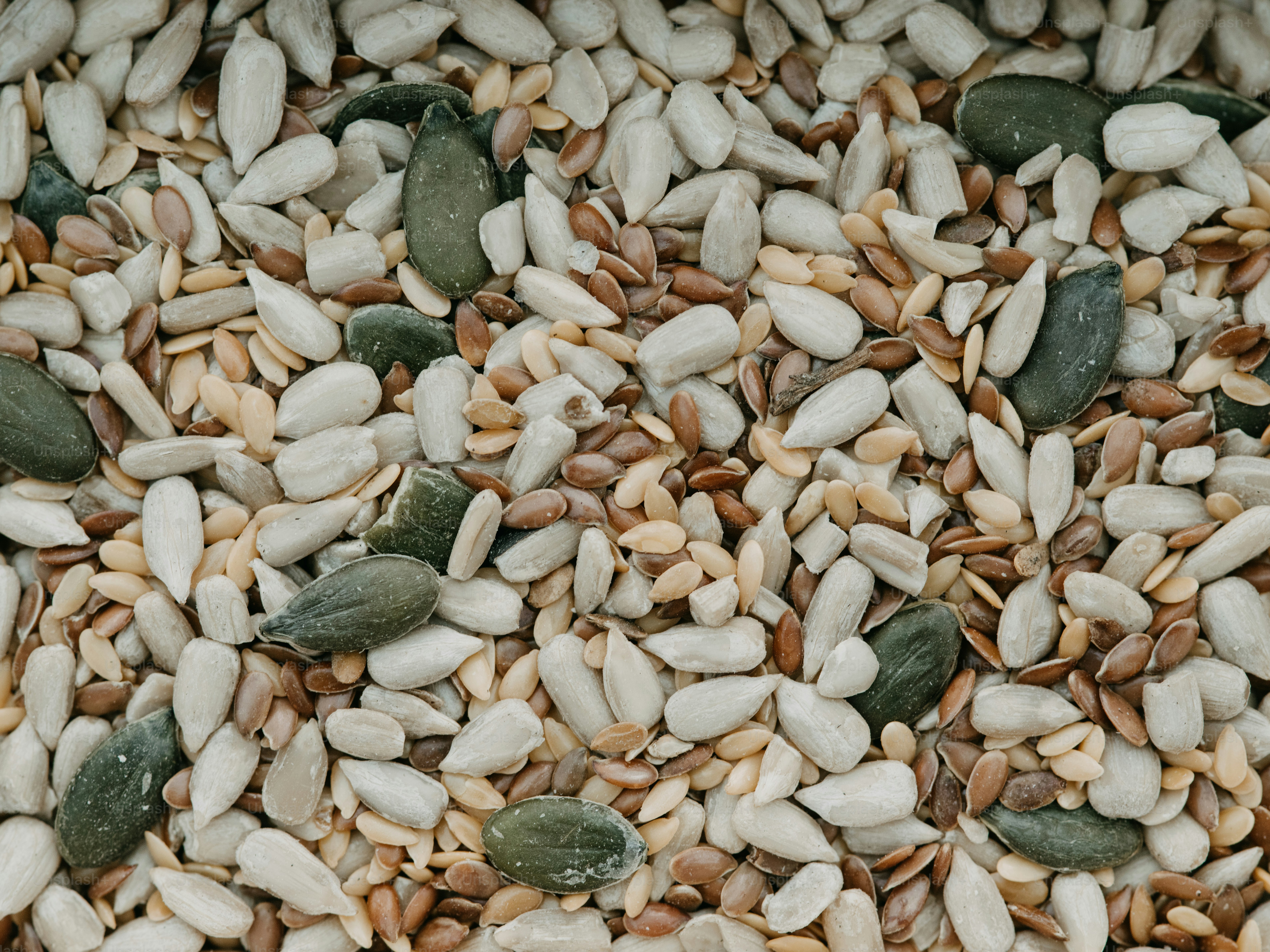 A pile of seeds with leaves on top of it photo – Mixed seeds Image on ...