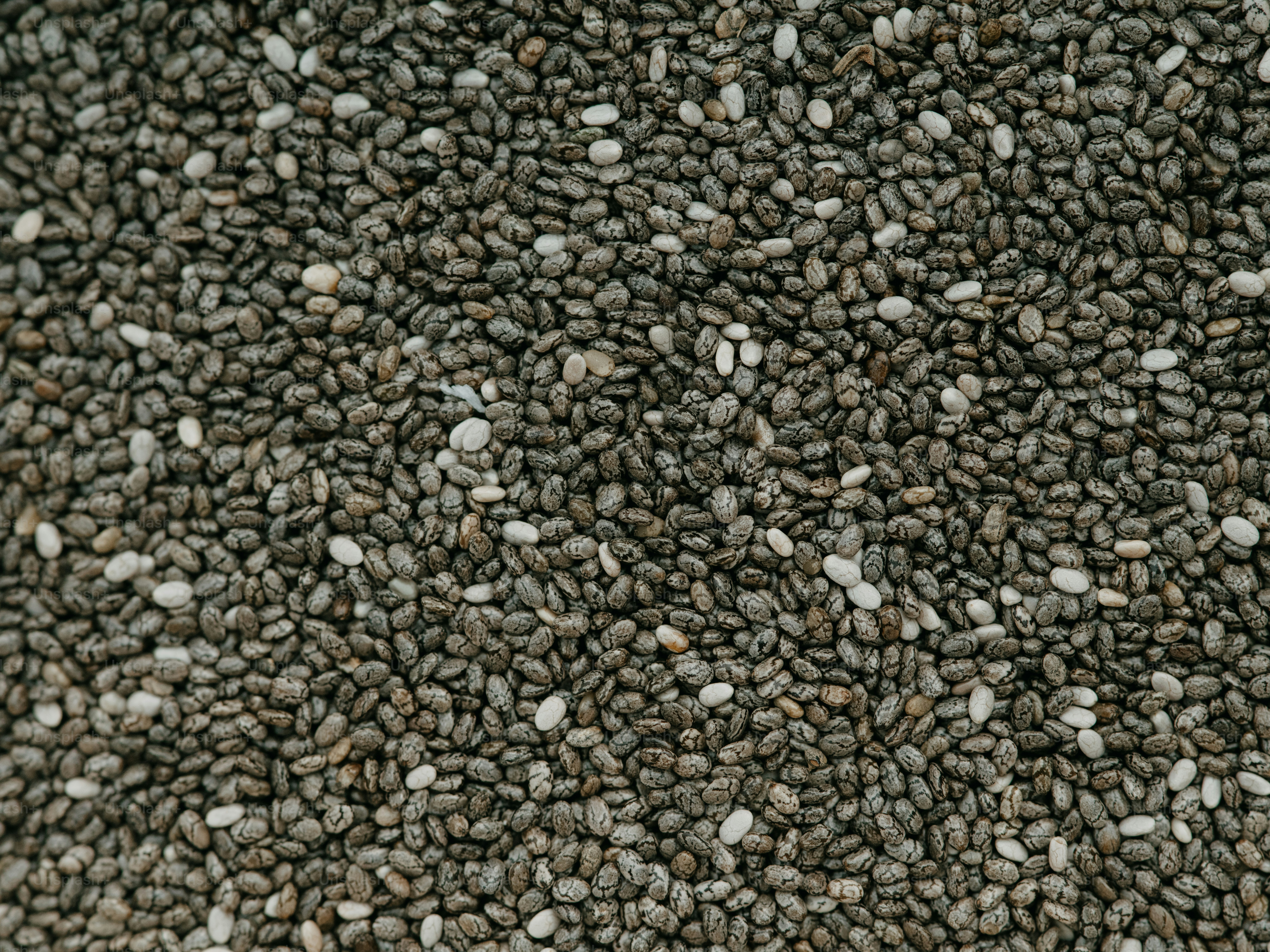 A close up view of a carpet with small white dots photo – Chia seeds ...