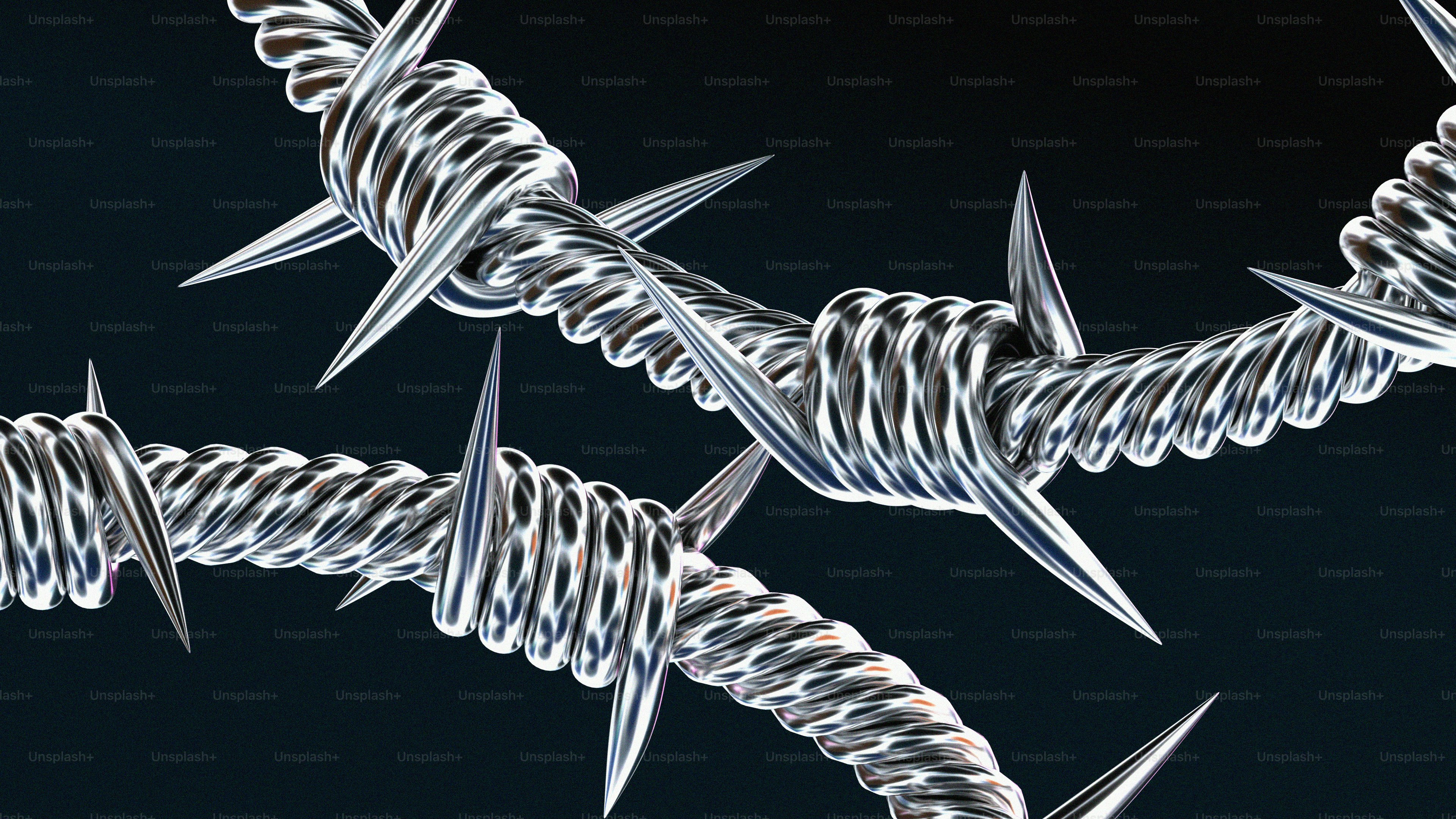 30,000+ Barbed Wire Pictures | Download Free Images on Unsplash