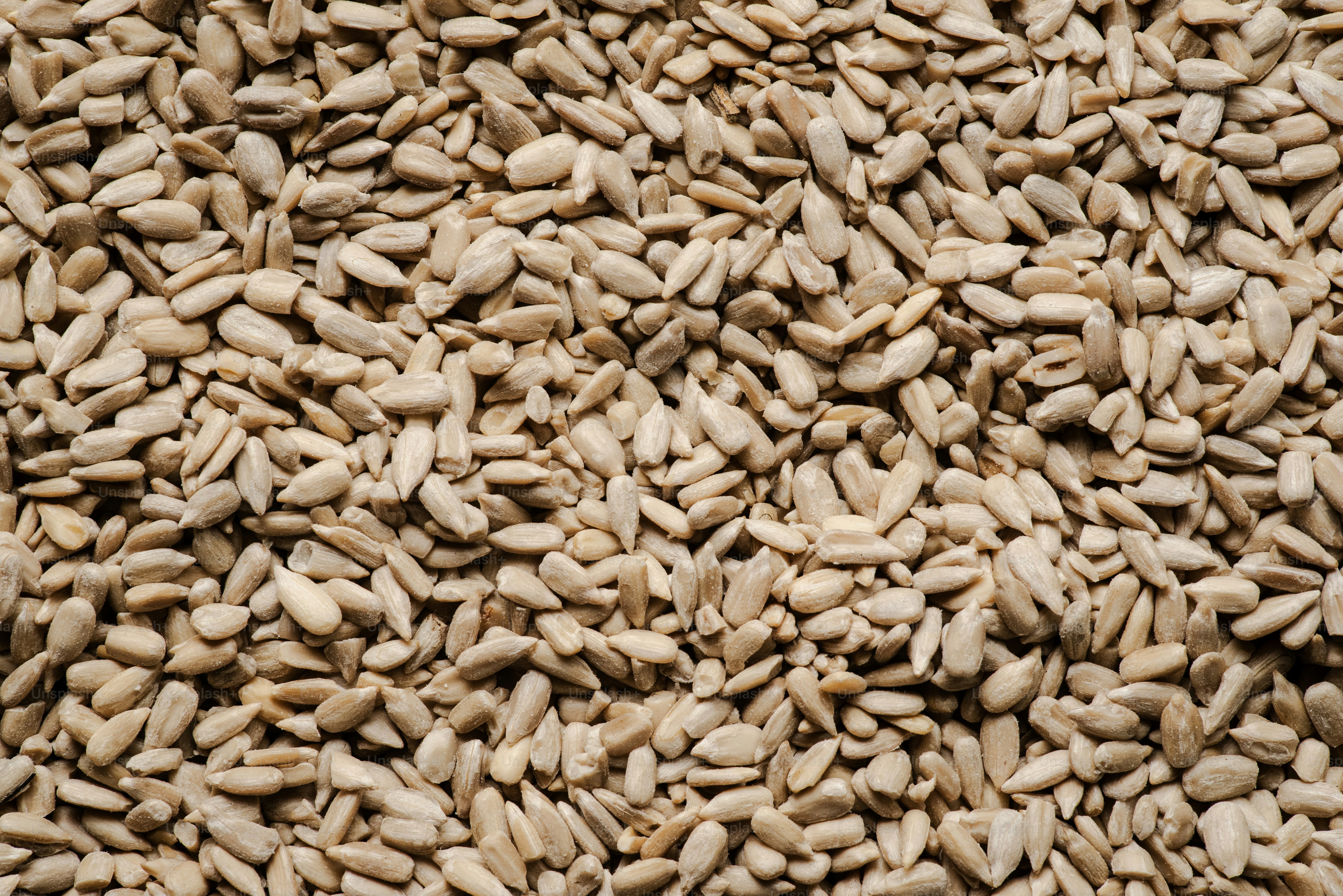 A close up of a pile of seeds photo – Sunflower seeds Image on Unsplash