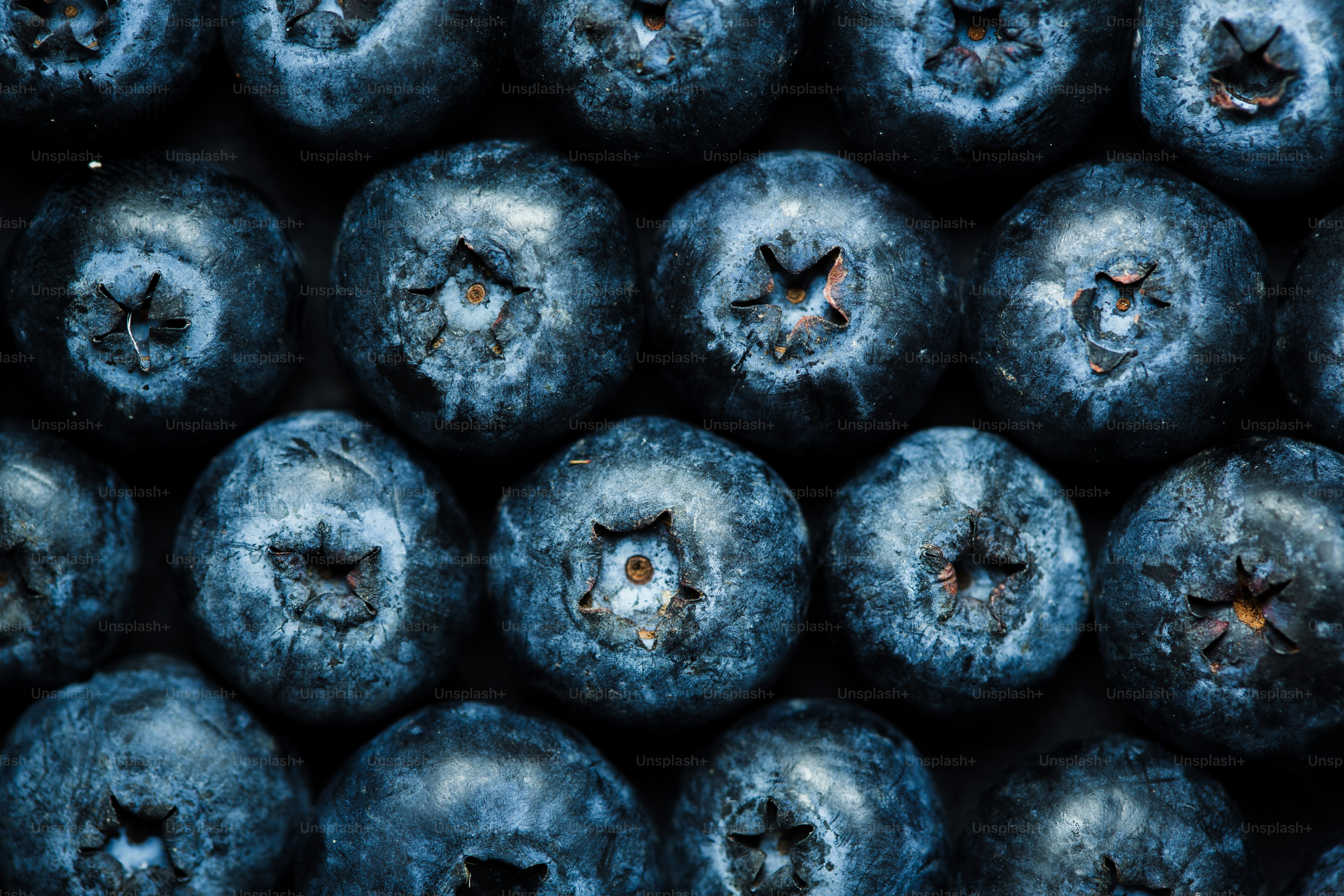 A bunch of blueberries sitting on top of a table photo – Close up food ...