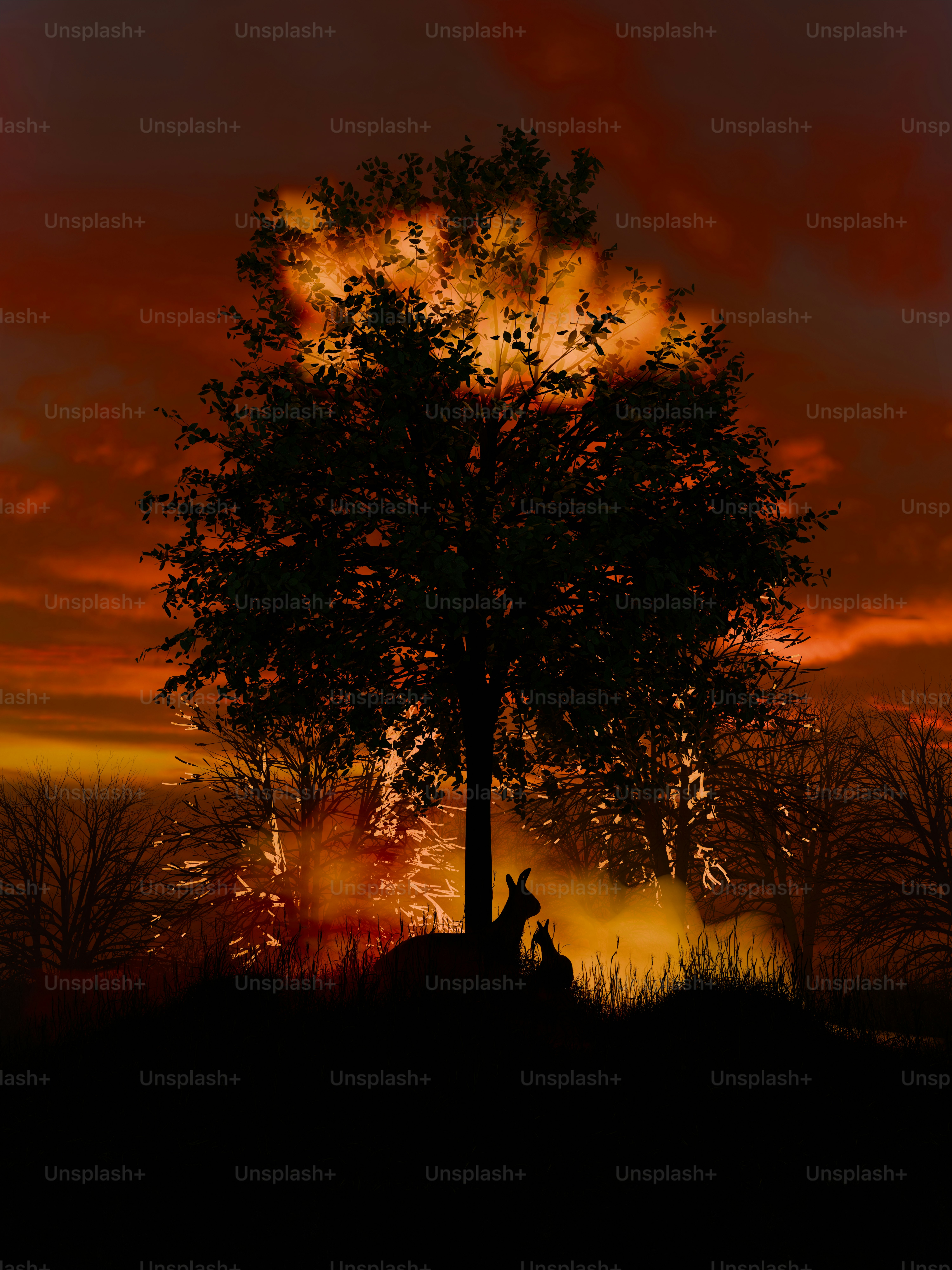 A silhouette of a person sitting under a tree photo – Wilderness Image ...