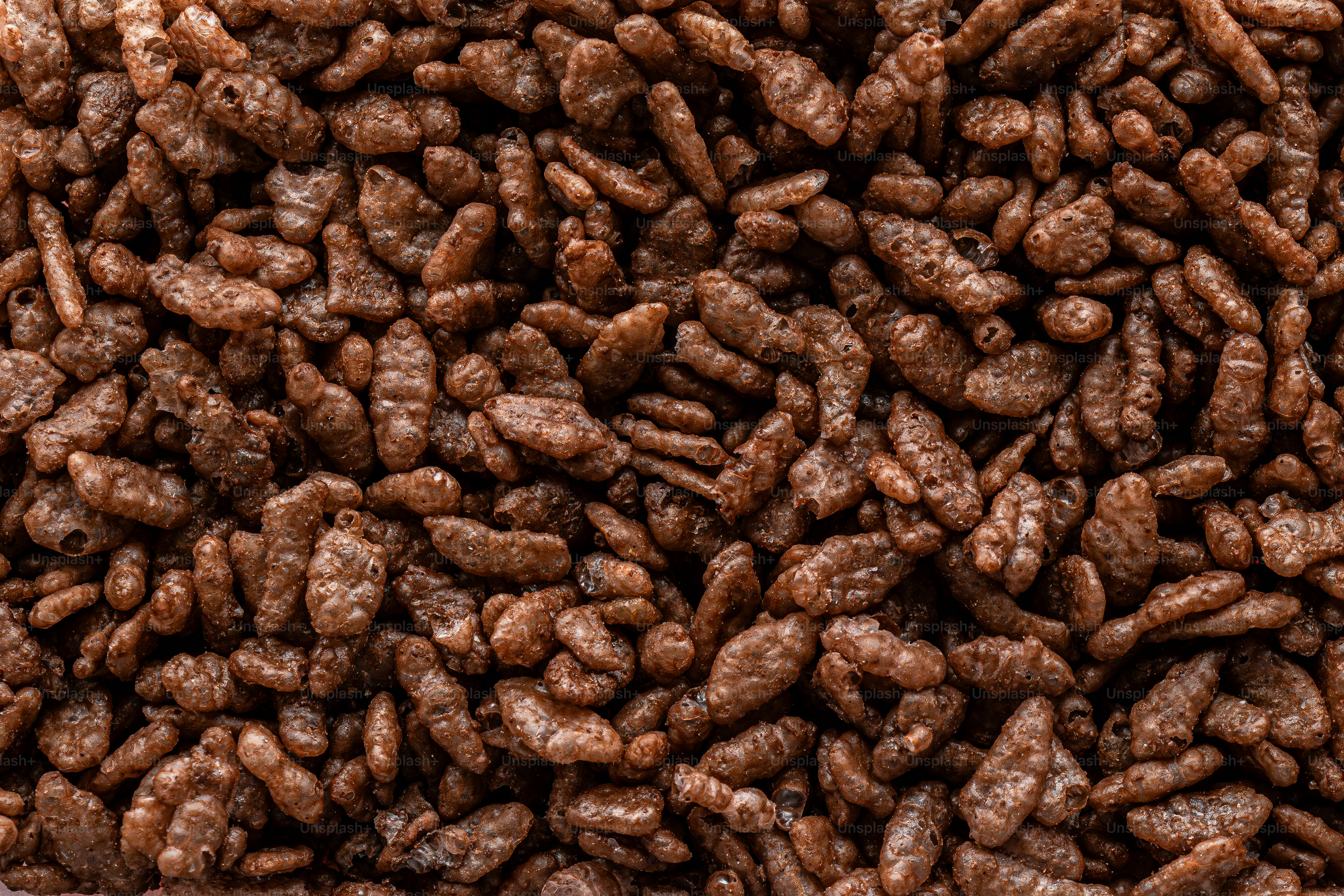 A close up of a bunch of brown pecans photo – Food Image on Unsplash