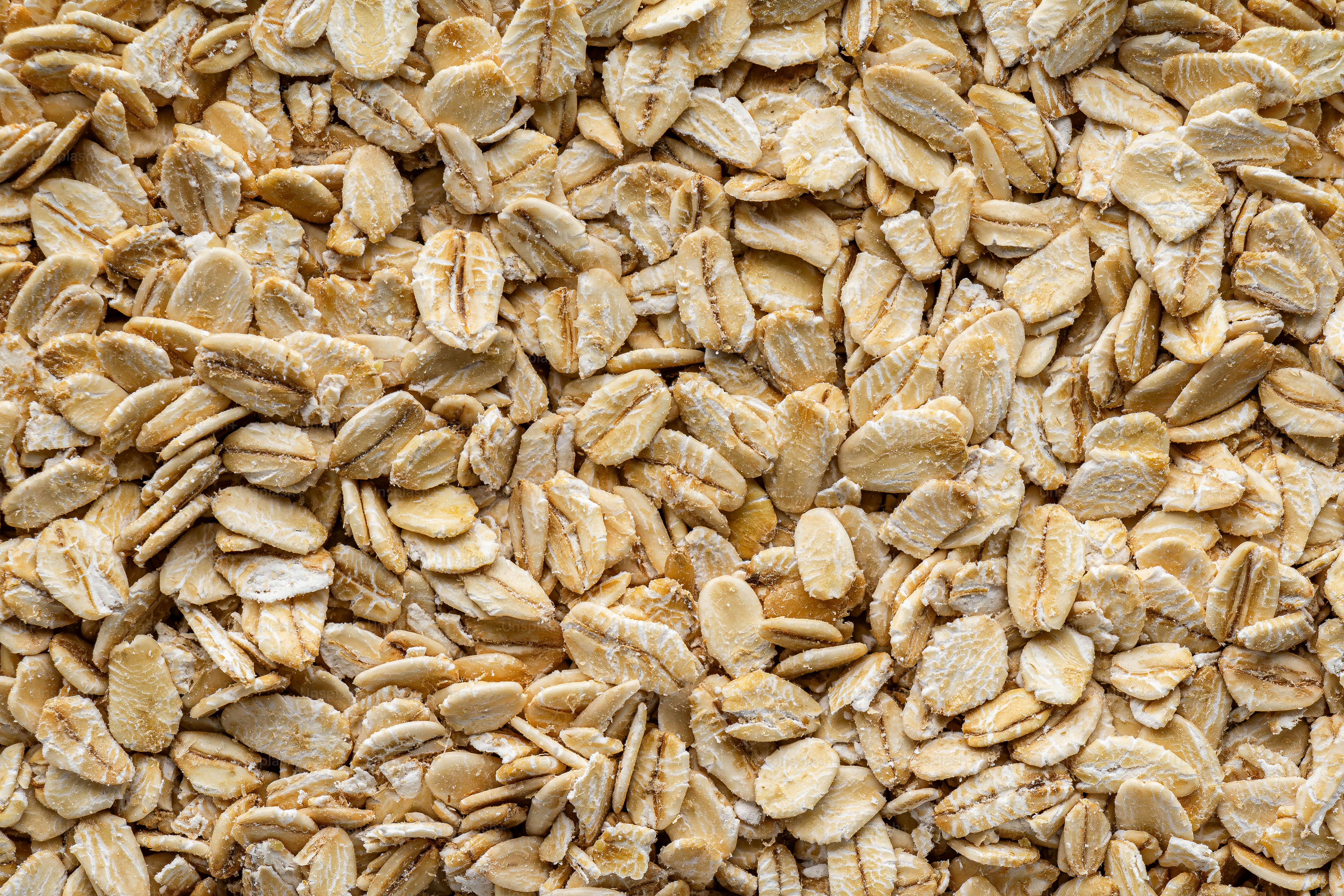 A close up of a pile of oats photo – Close up food Image on Unsplash