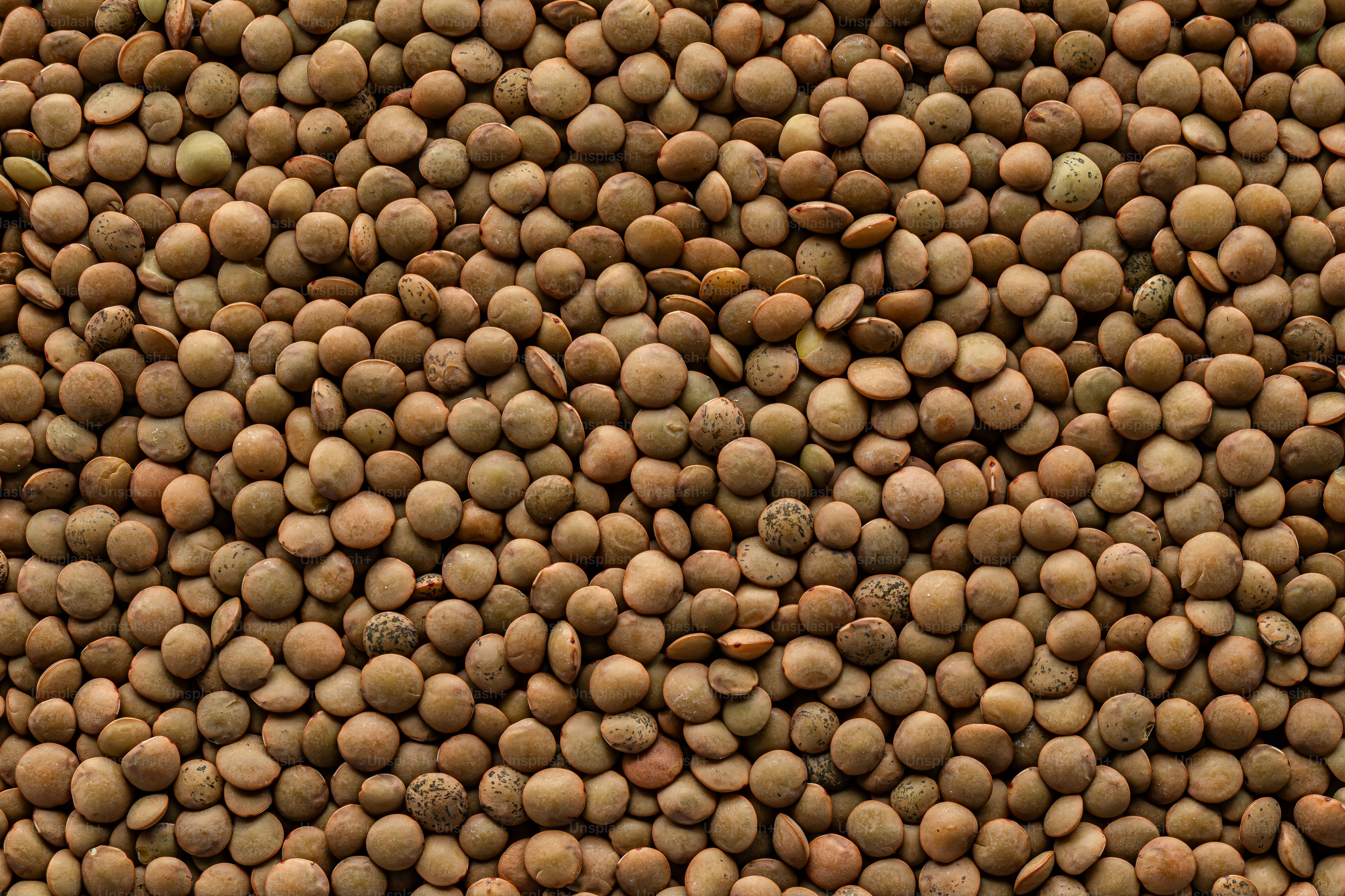 Un gros plan d’un bouquet de lentilles brunes photo – Image de ...