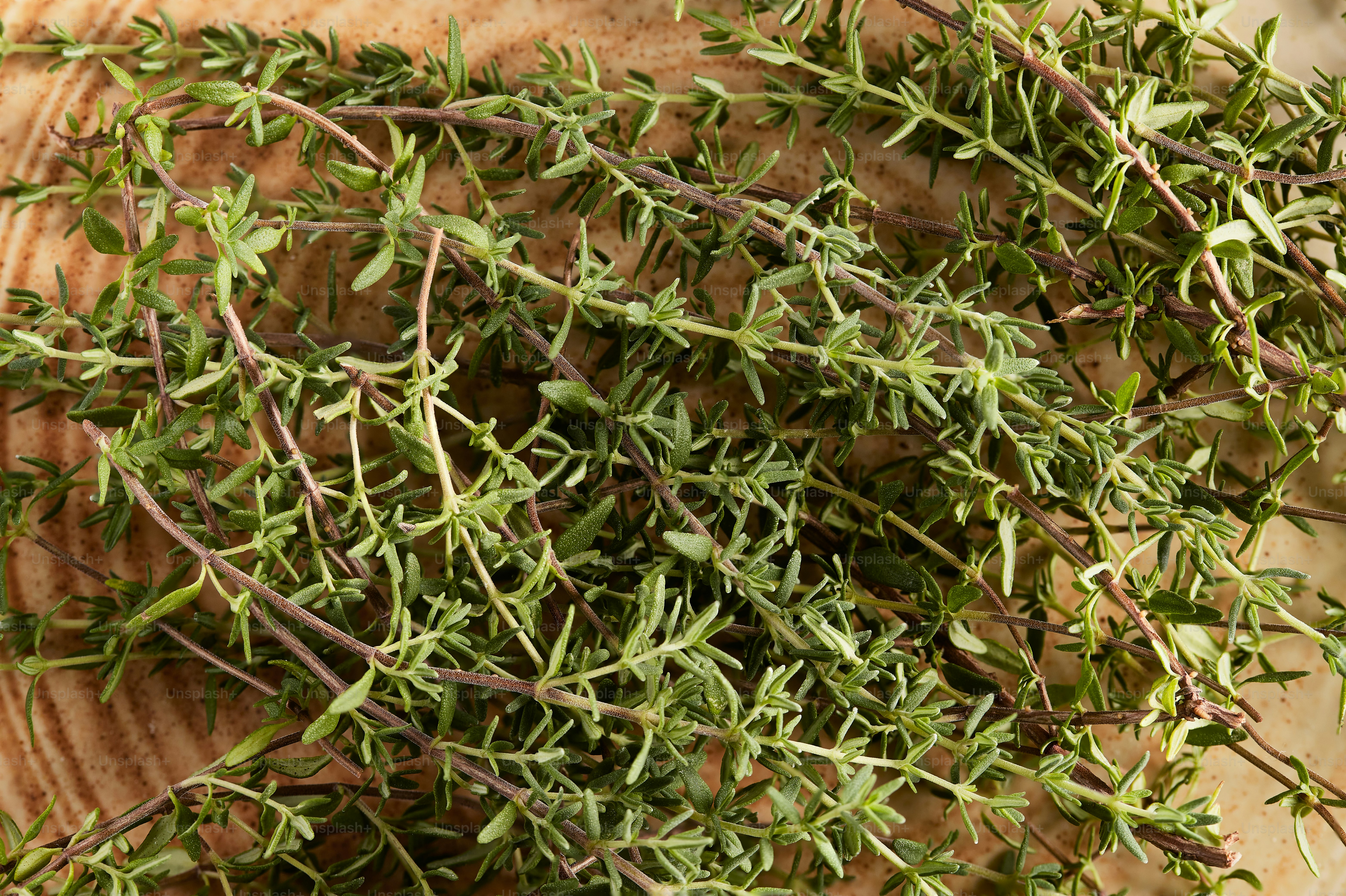 Un primer plano de un manojo de hierbas en una tabla de cortar foto ...