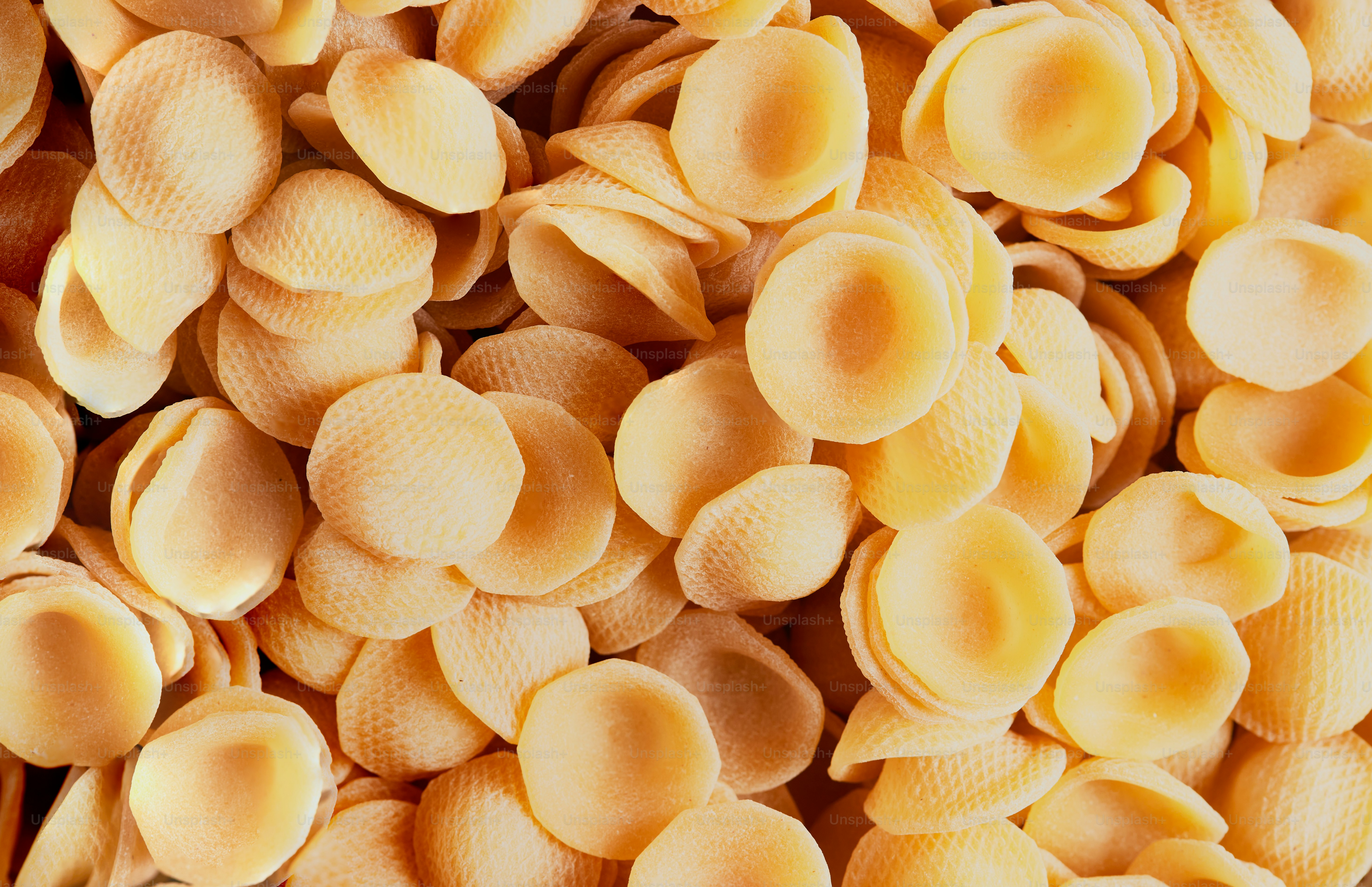 A close up of a pile of macaroni shells photo – Food Image on Unsplash