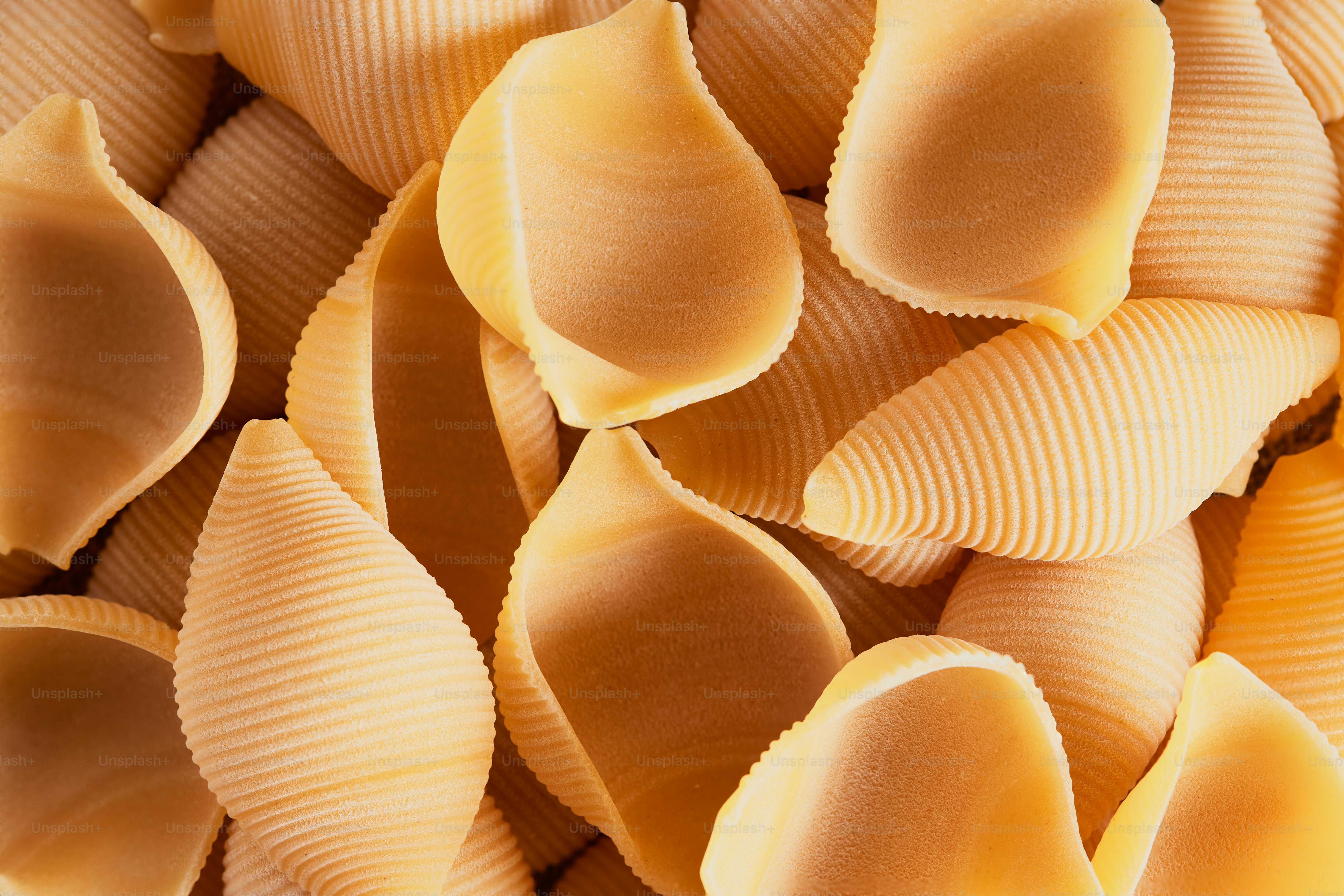 A pile of uncooked uncooked pasta shells photo – Food Image on Unsplash