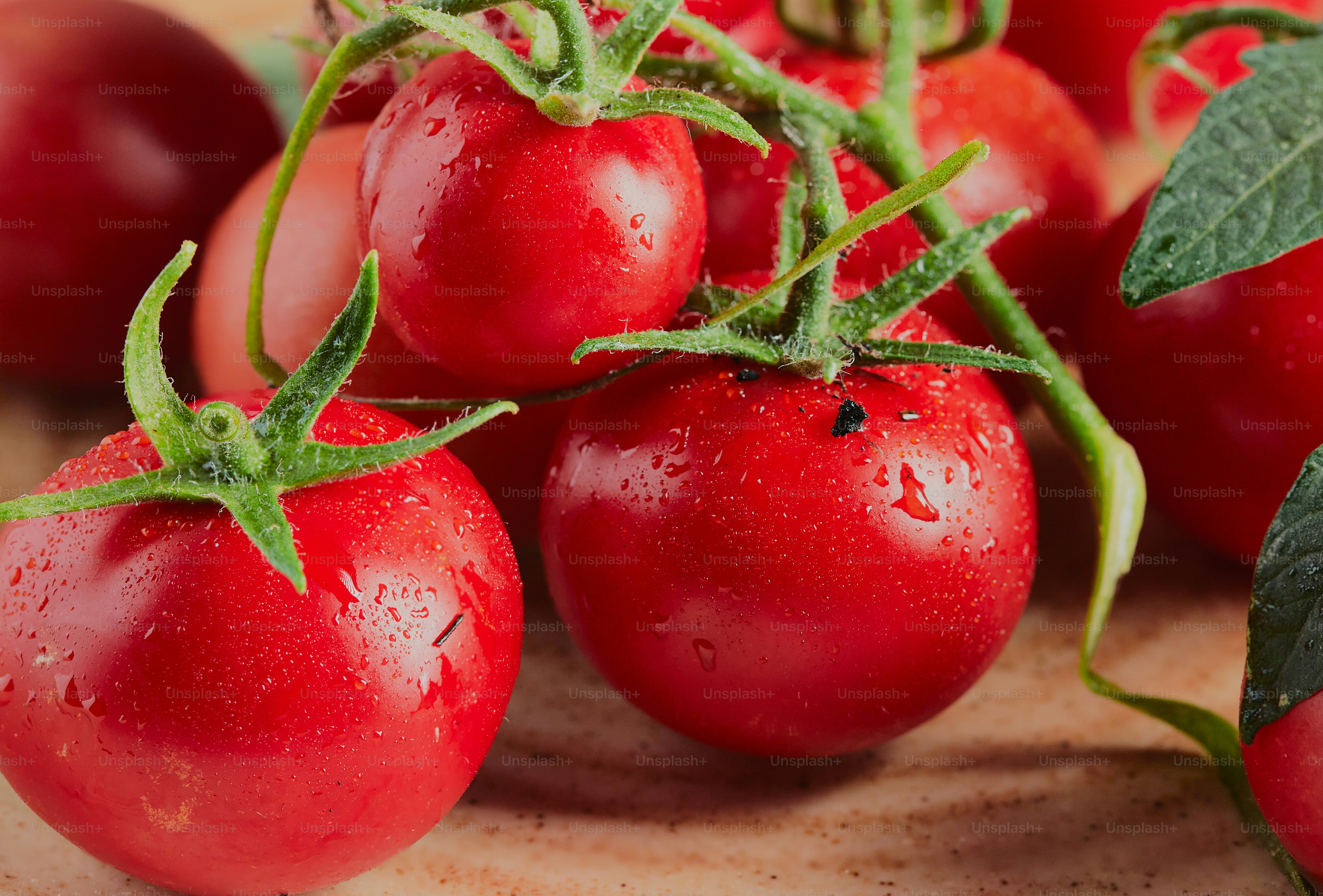 Tomatoes Pictures | Download Free Images on Unsplash