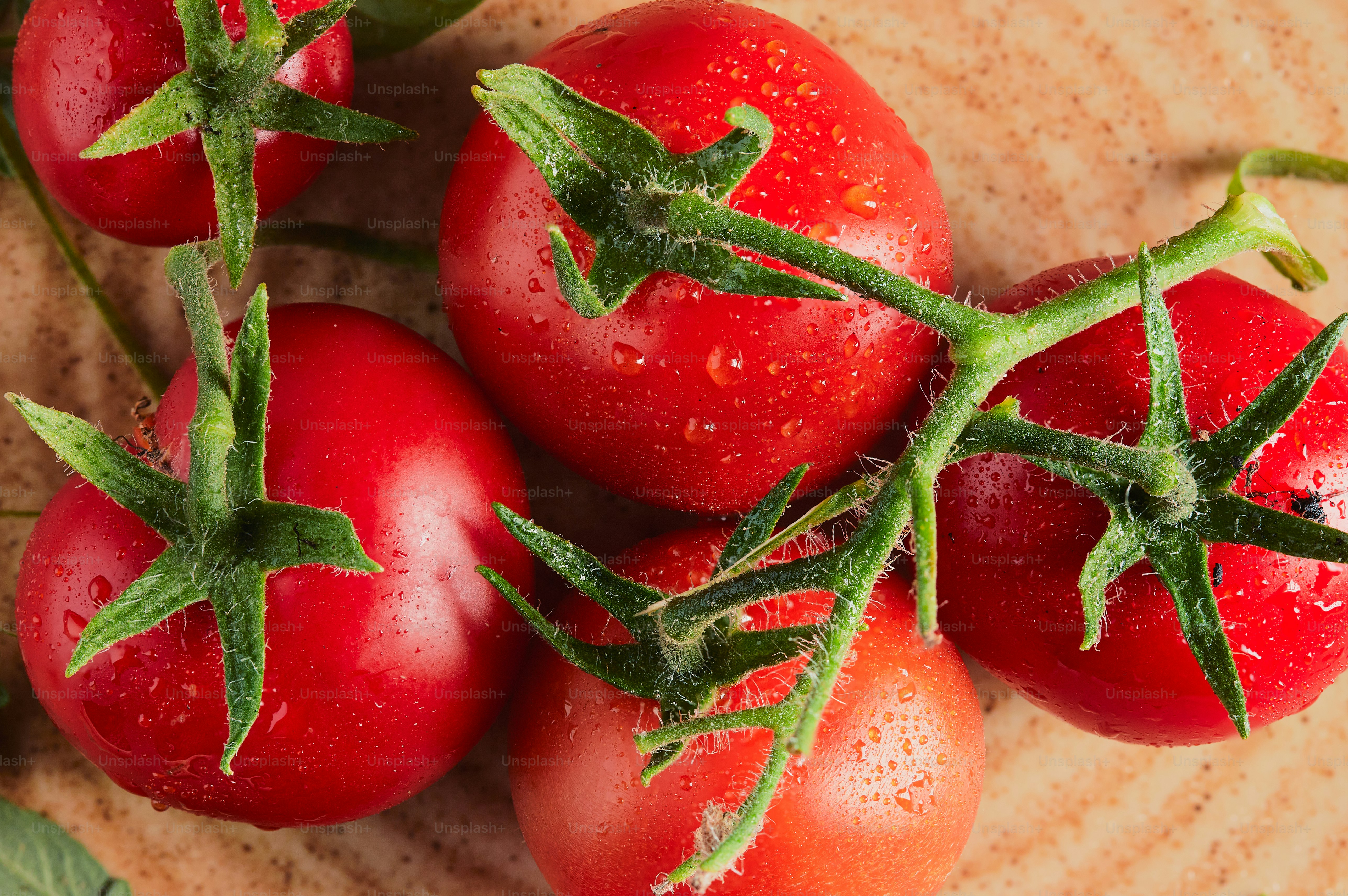 500+ Tomatoes Pictures | Download Free Images on Unsplash