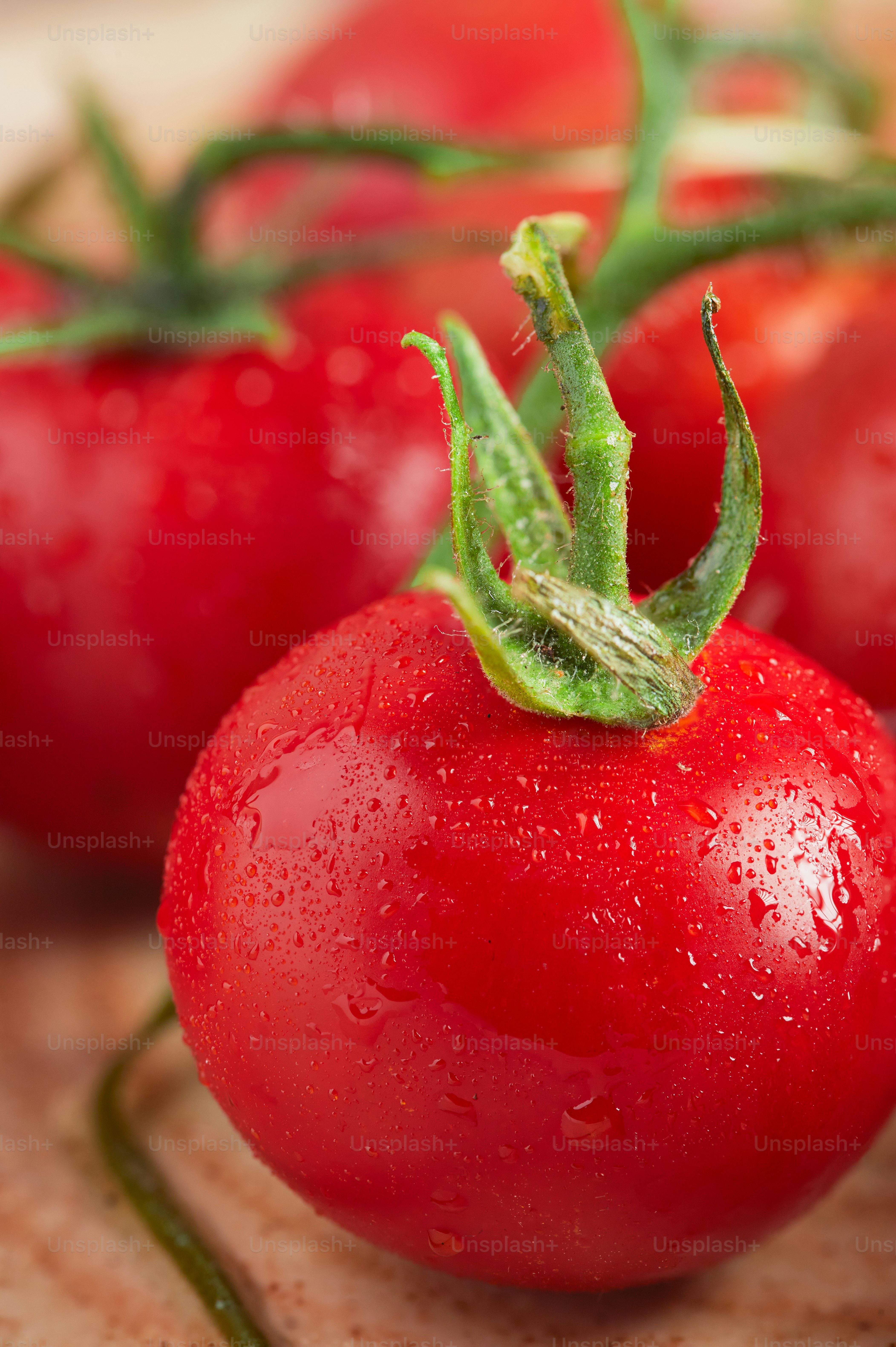 A bunch of tomatoes sitting on top of a cutting board photo – Tomato ...