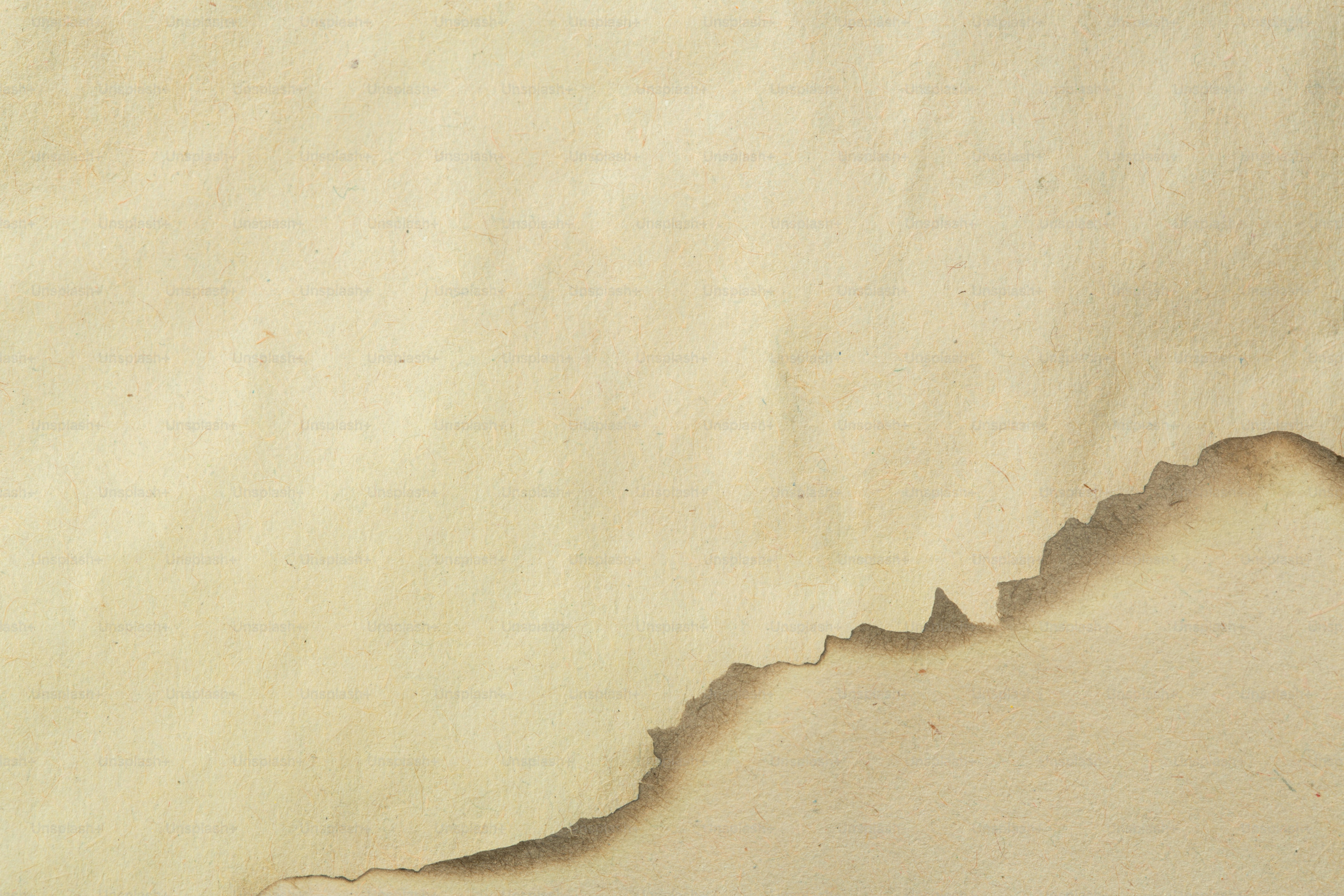 A piece of paper that has been torn in half photo – Paper texture Image ...