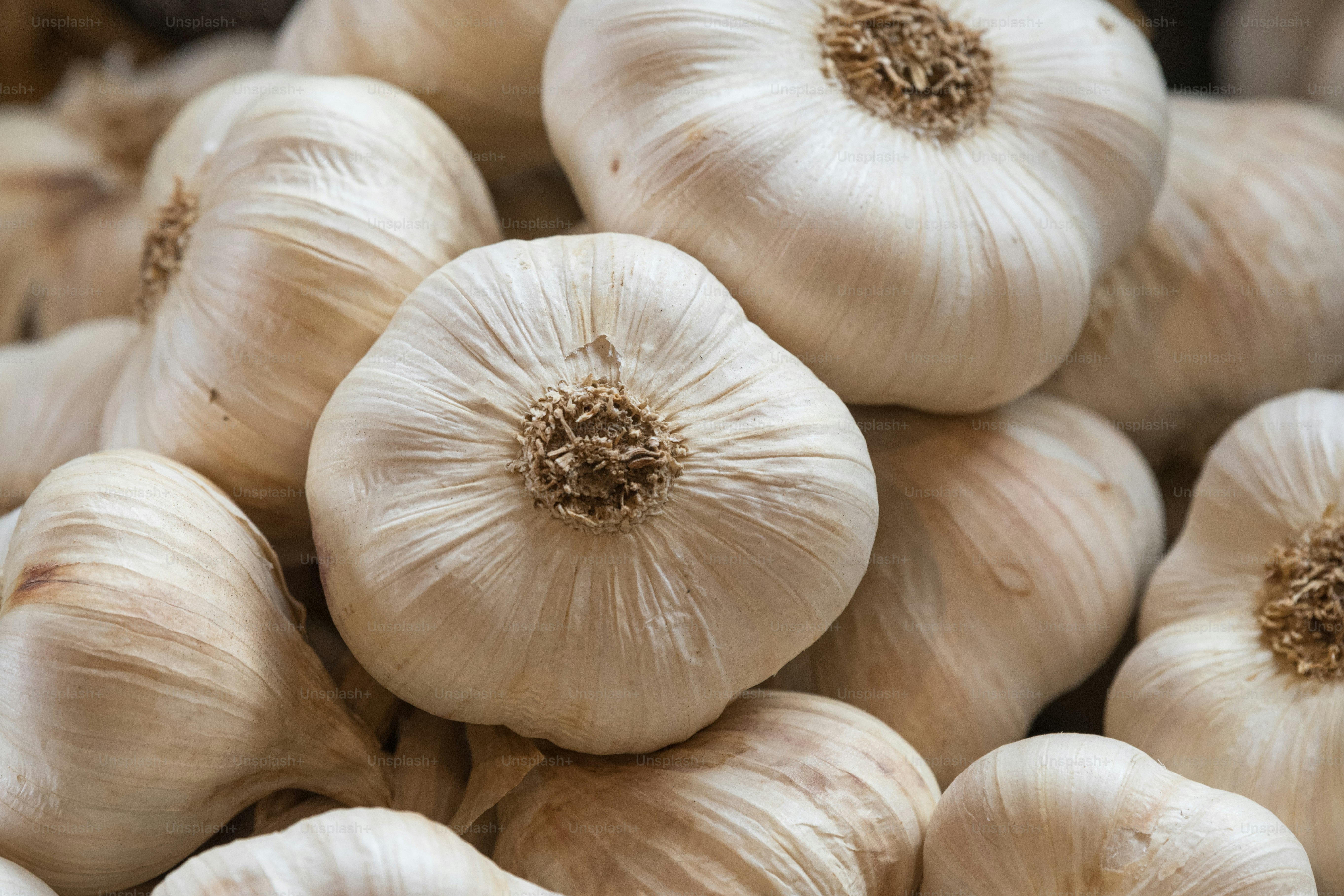 A pile of garlic sitting next to each other photo – Whole garlic Image ...