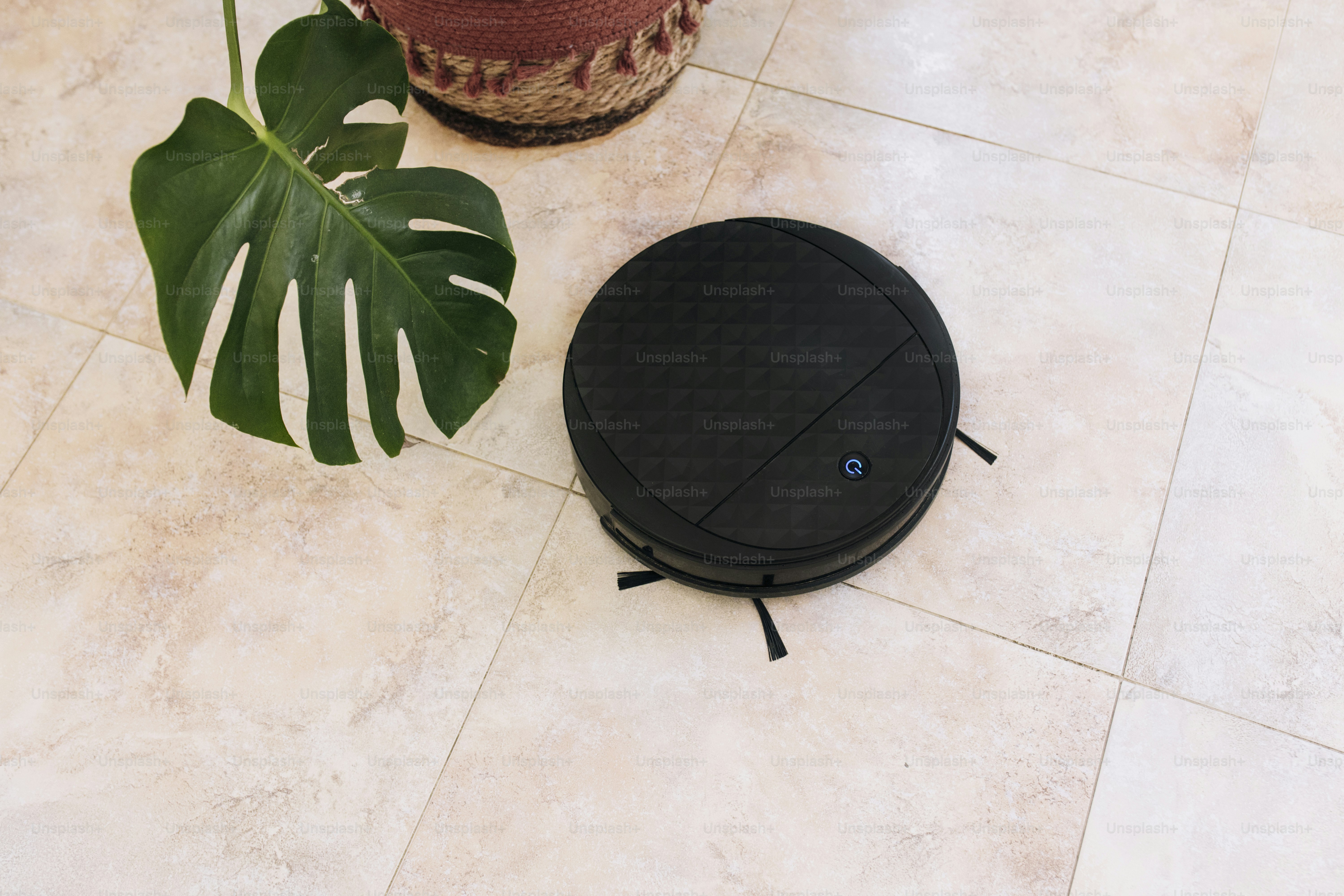 Un altavoz negro en el suelo junto a una planta en maceta foto – Imagen ...