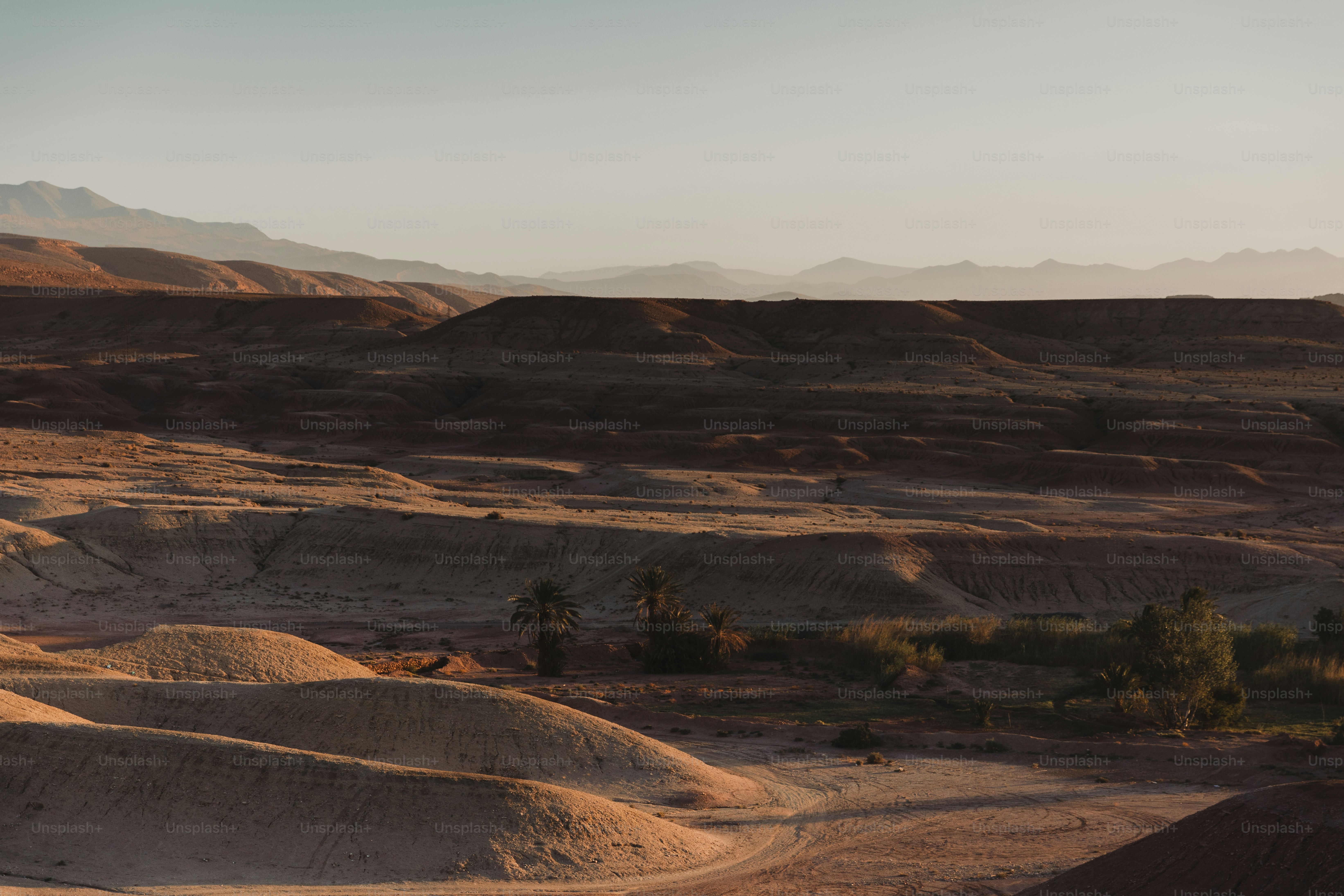Joe Eitzen (@joe_eitzen) | Unsplash Photo Community