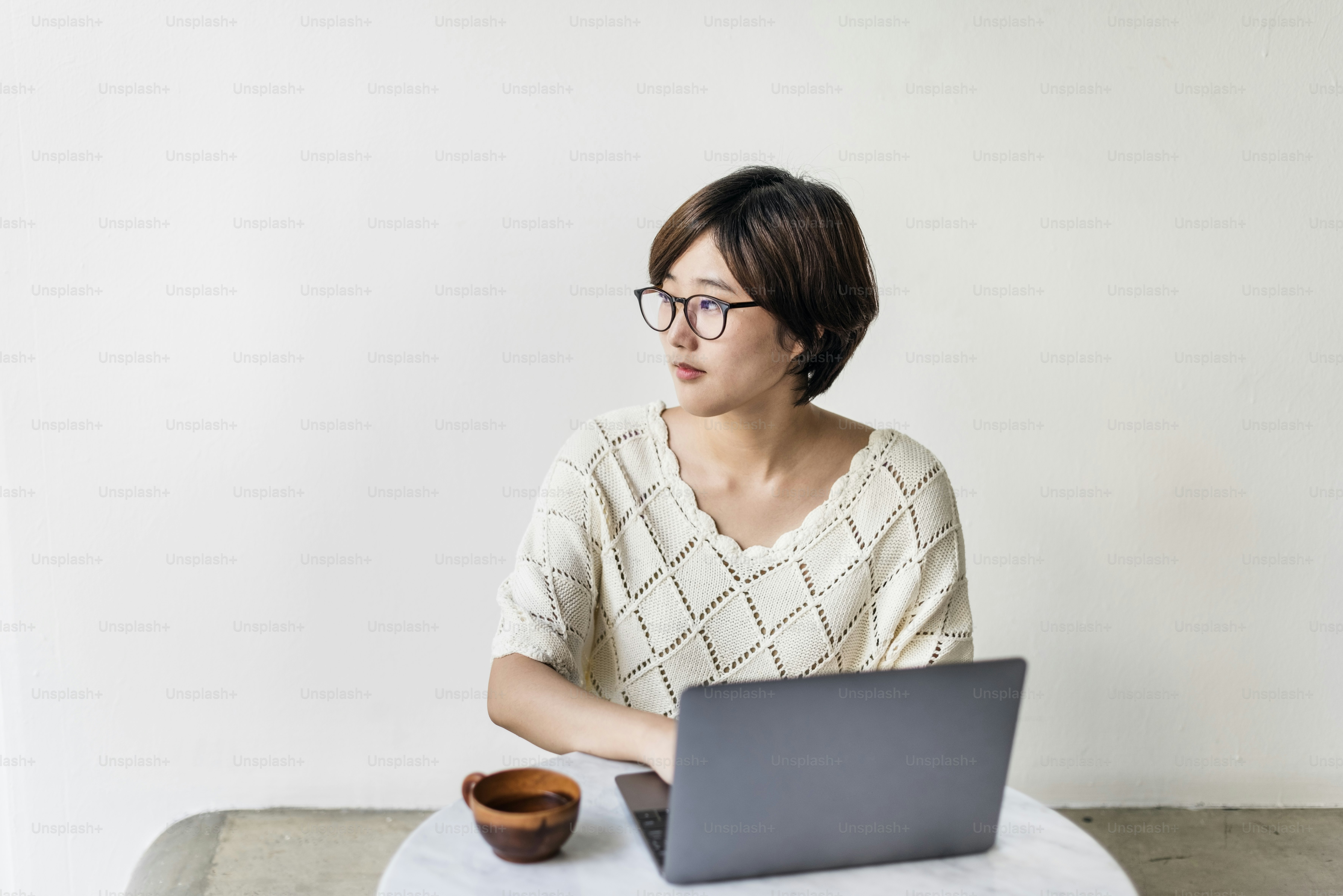 Woman Laptop Browsing Searching Social Networking Technology Concept ...