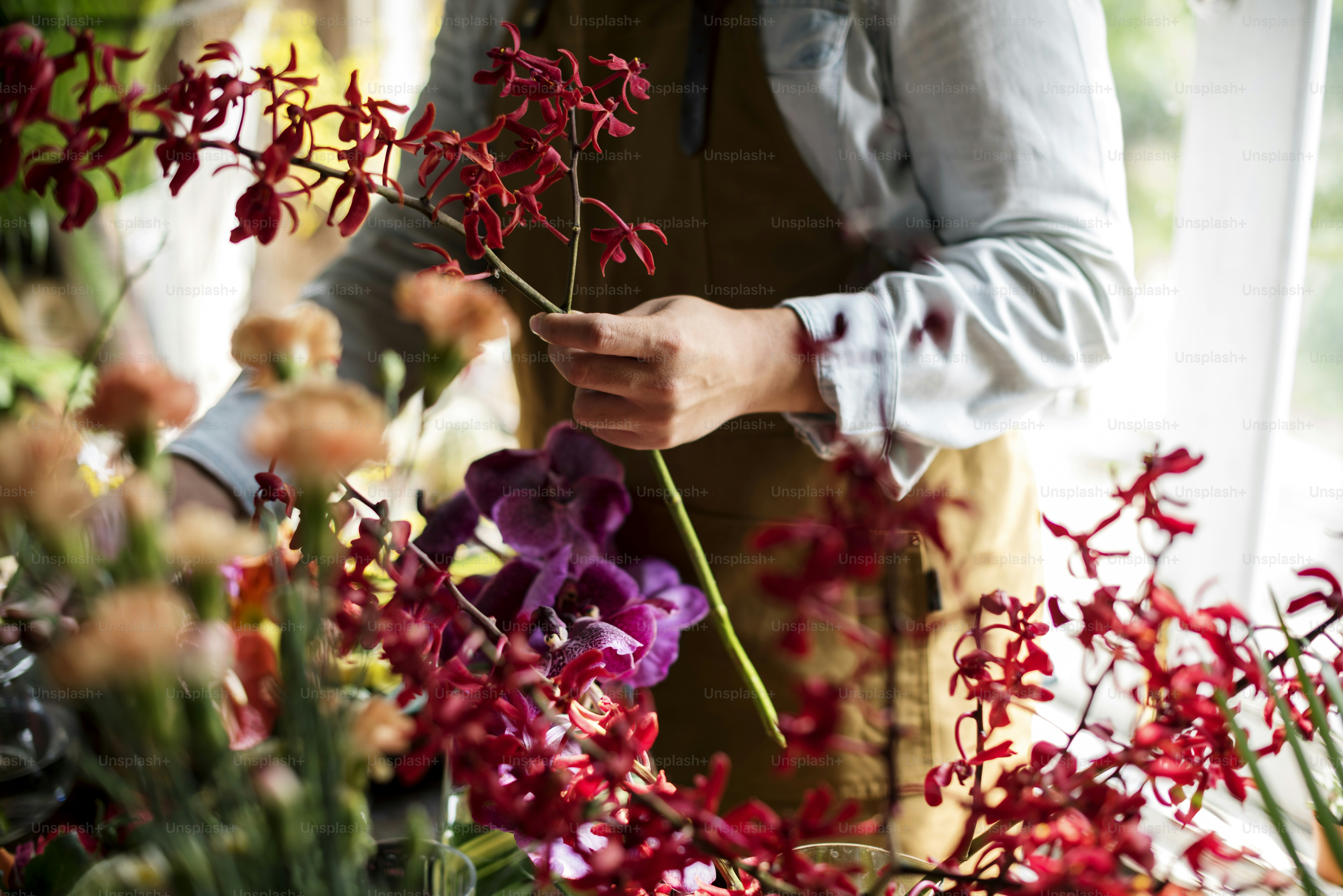 Florist arrange a flower bouquet photo – Plant Image on Unsplash