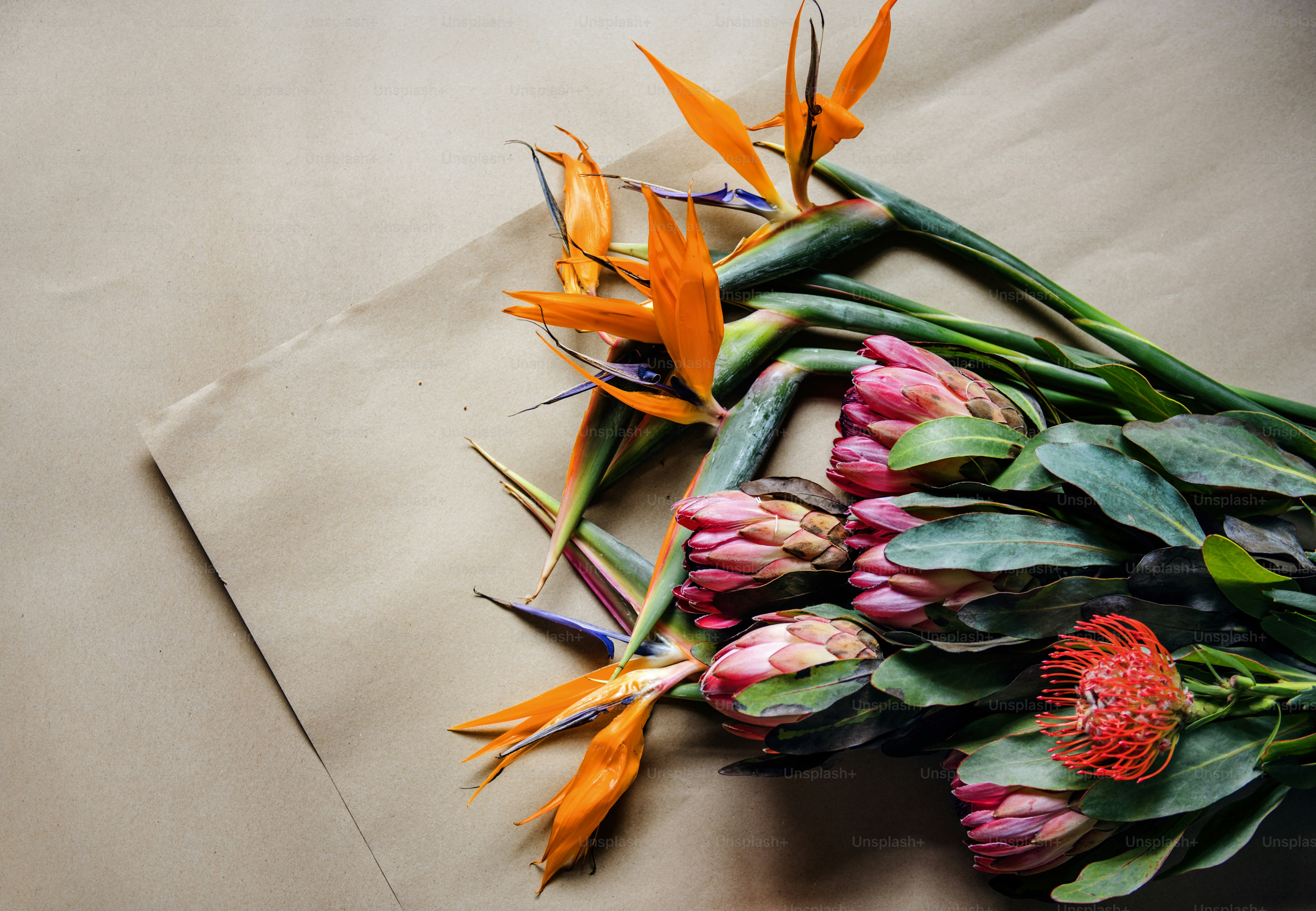 Fresh Real Tropical Flowers on Brown Paper Craft Background photo ...