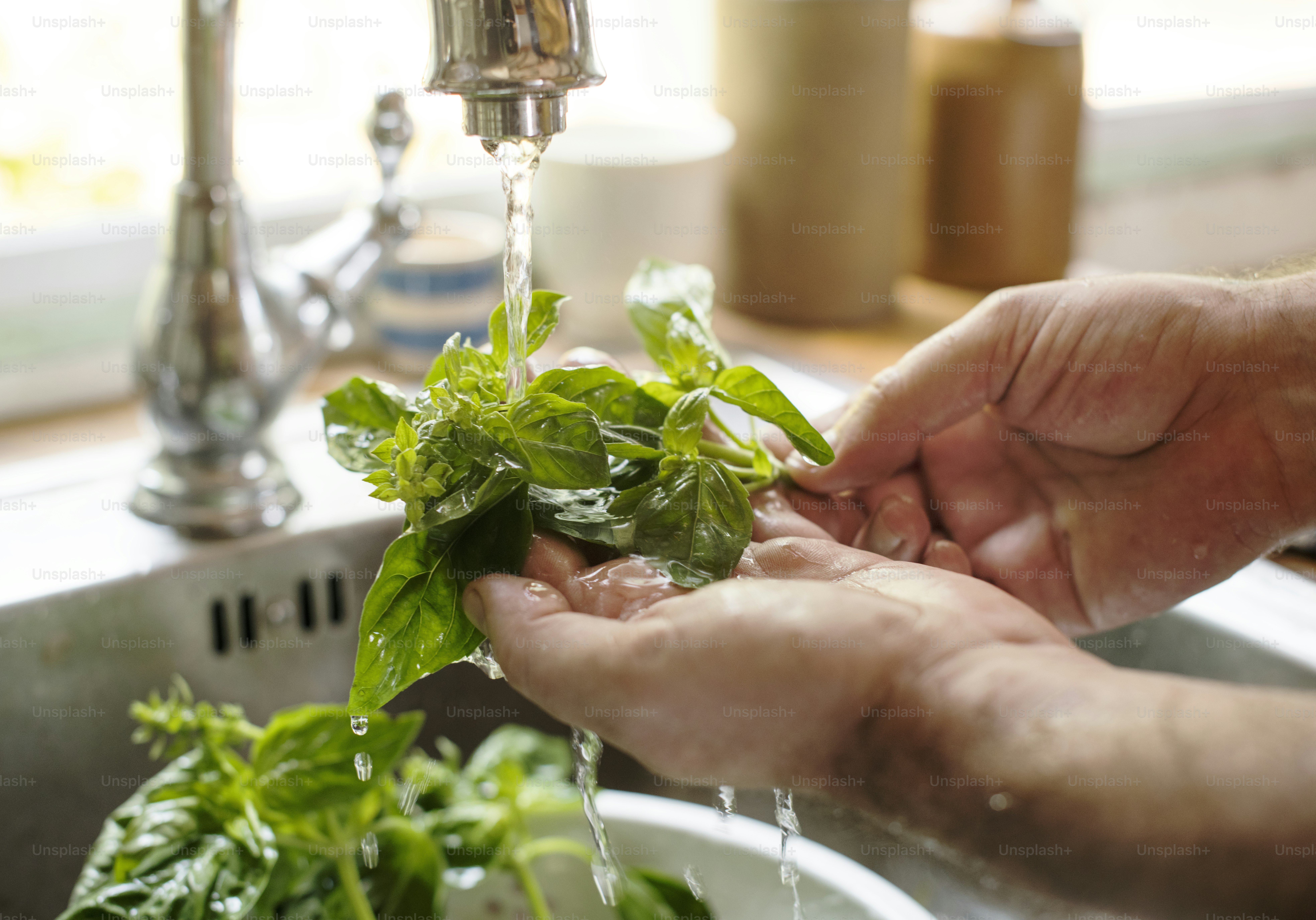 A person washing basil under running water food photography recipe idea ...