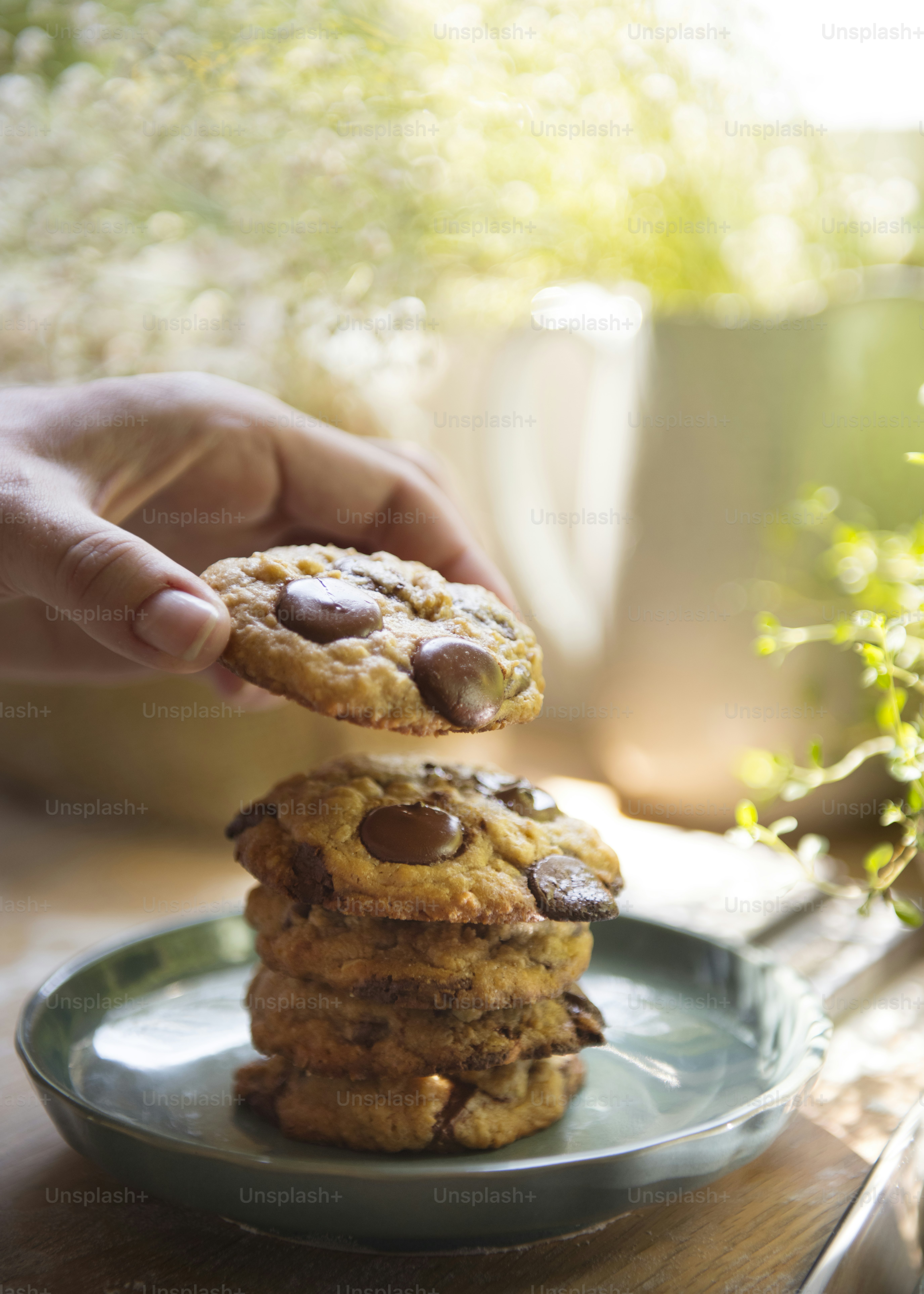 Chocolate chip cookies food photography recipe idea photo – Hand Image ...