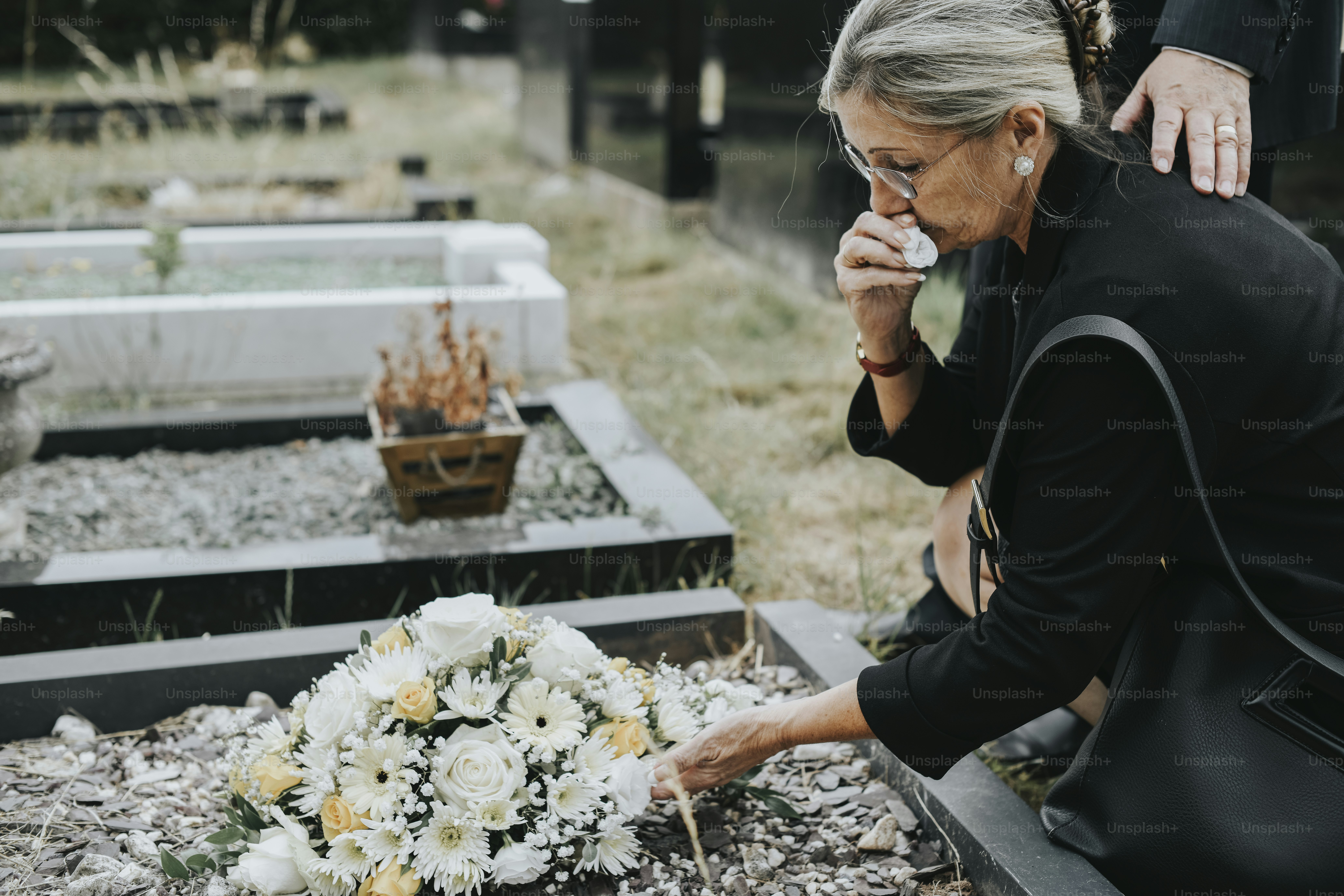 Grave Pictures | Download Free Images on Unsplash